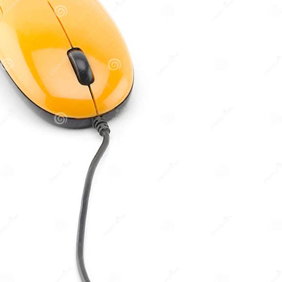 Orange Mouse Isolated on White Stock Image - Image of manipulate ...