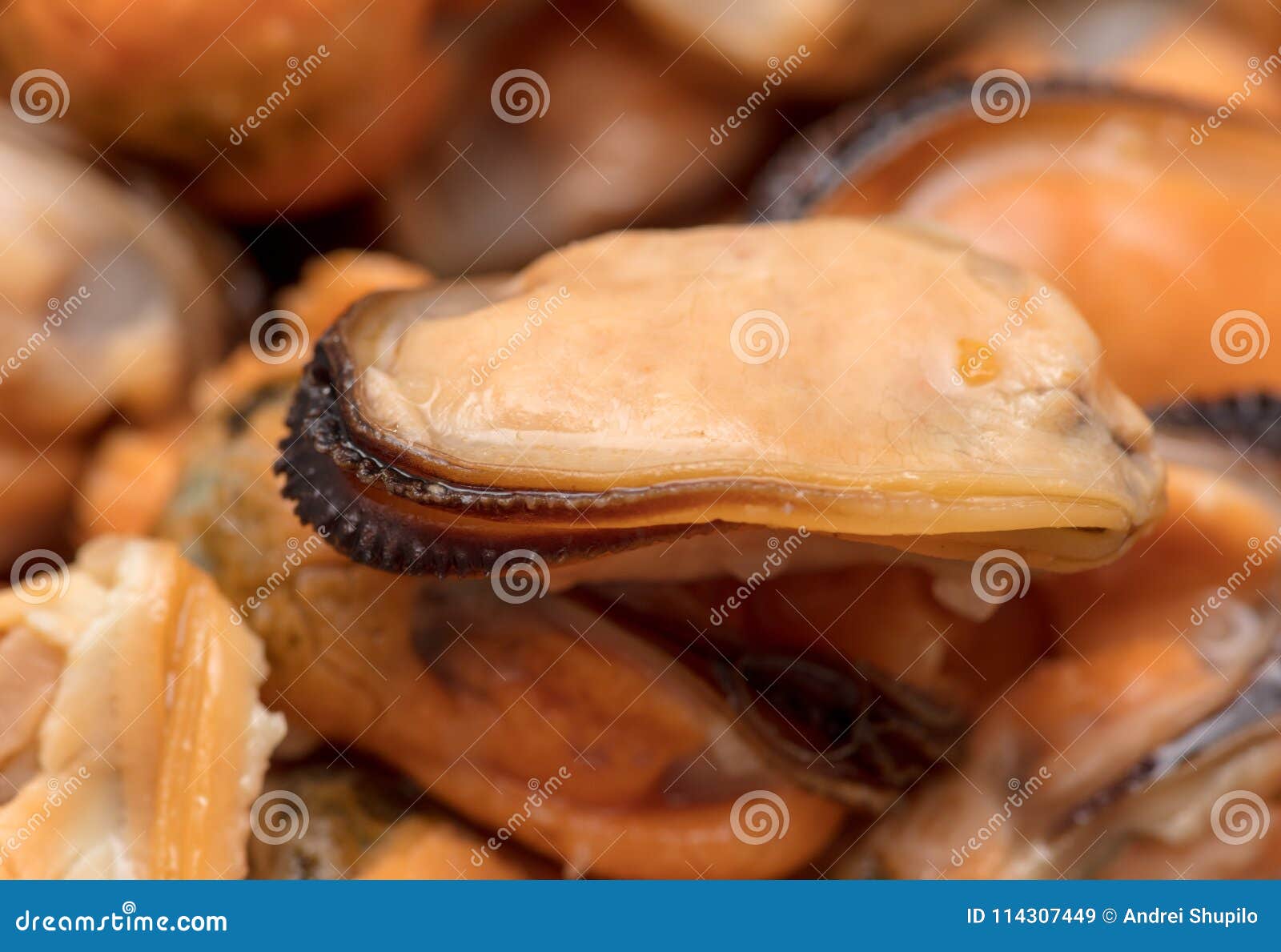 Orange Mussels Meat As a Background Stock Image - Image of meat, mussel ...