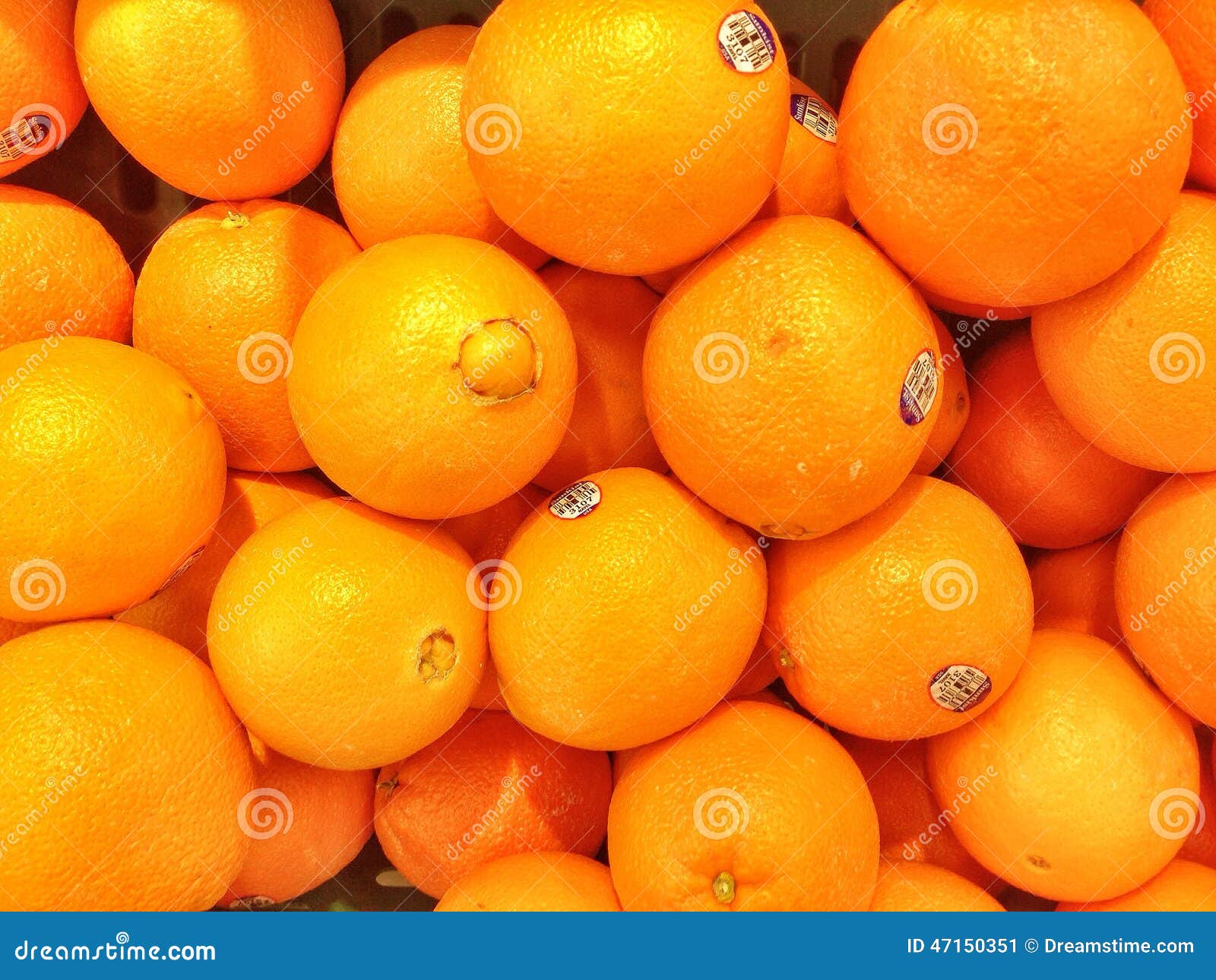 Orange editorial photo. Image of life, people, landscape - 47150351