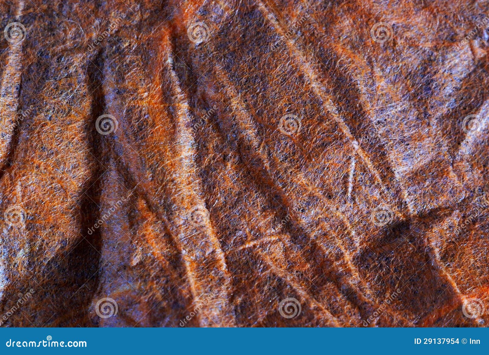 Orange Natural Paper Texture Stock Photo - Image of original, tint ...