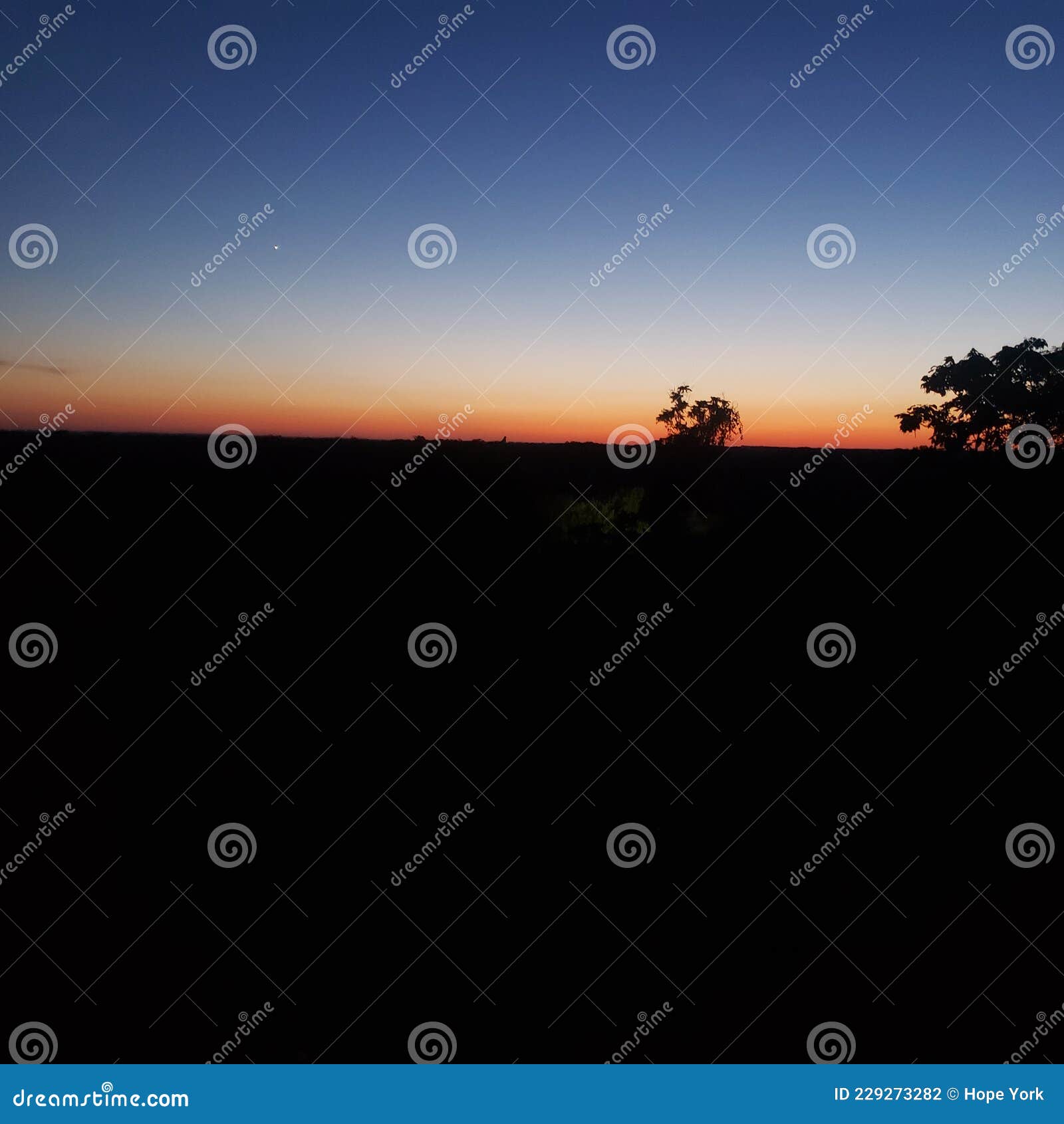 Orange Night Sky Trees Sunset Stock Photo - Image of circle, night ...