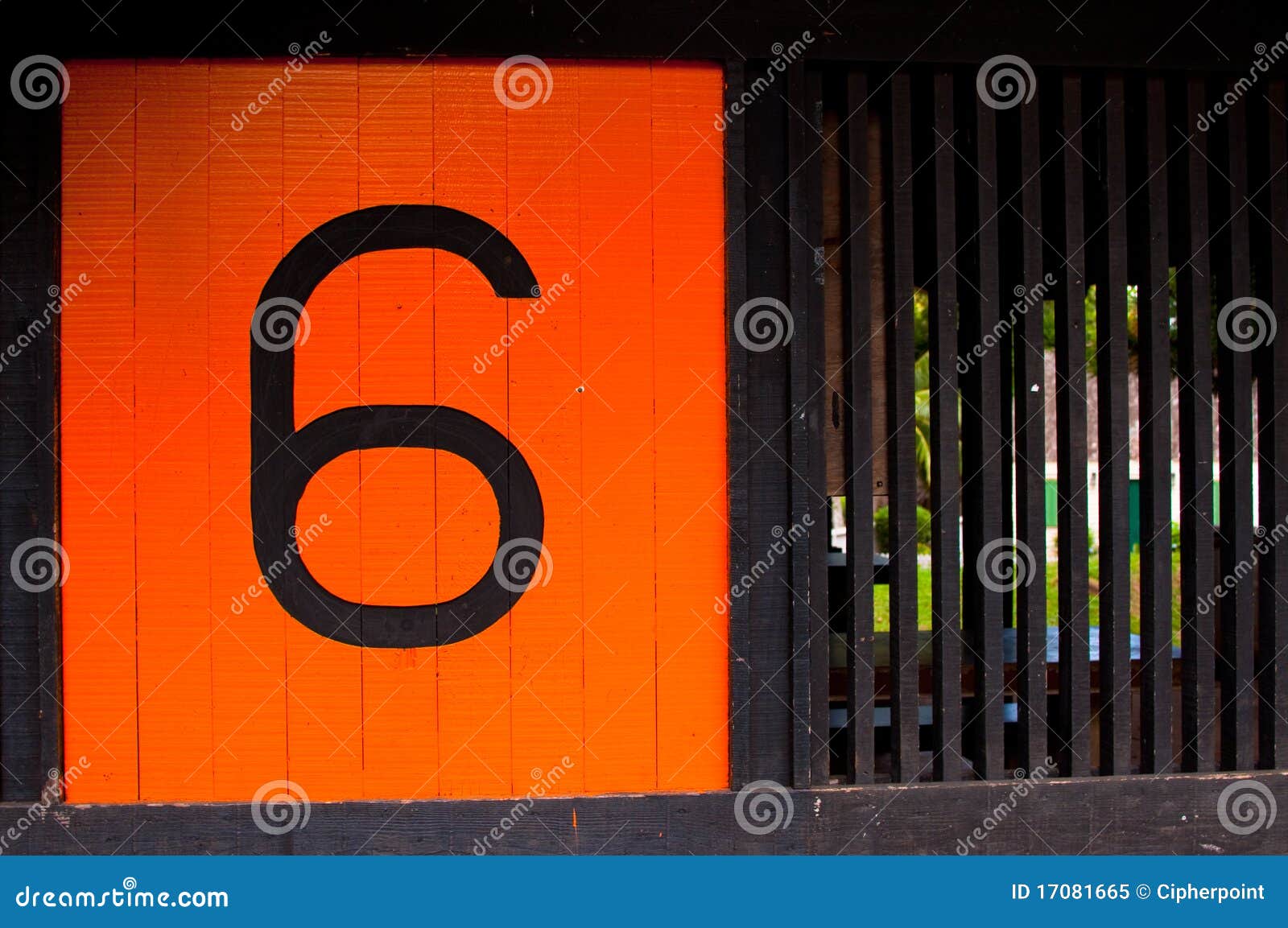 Number 6 Orange