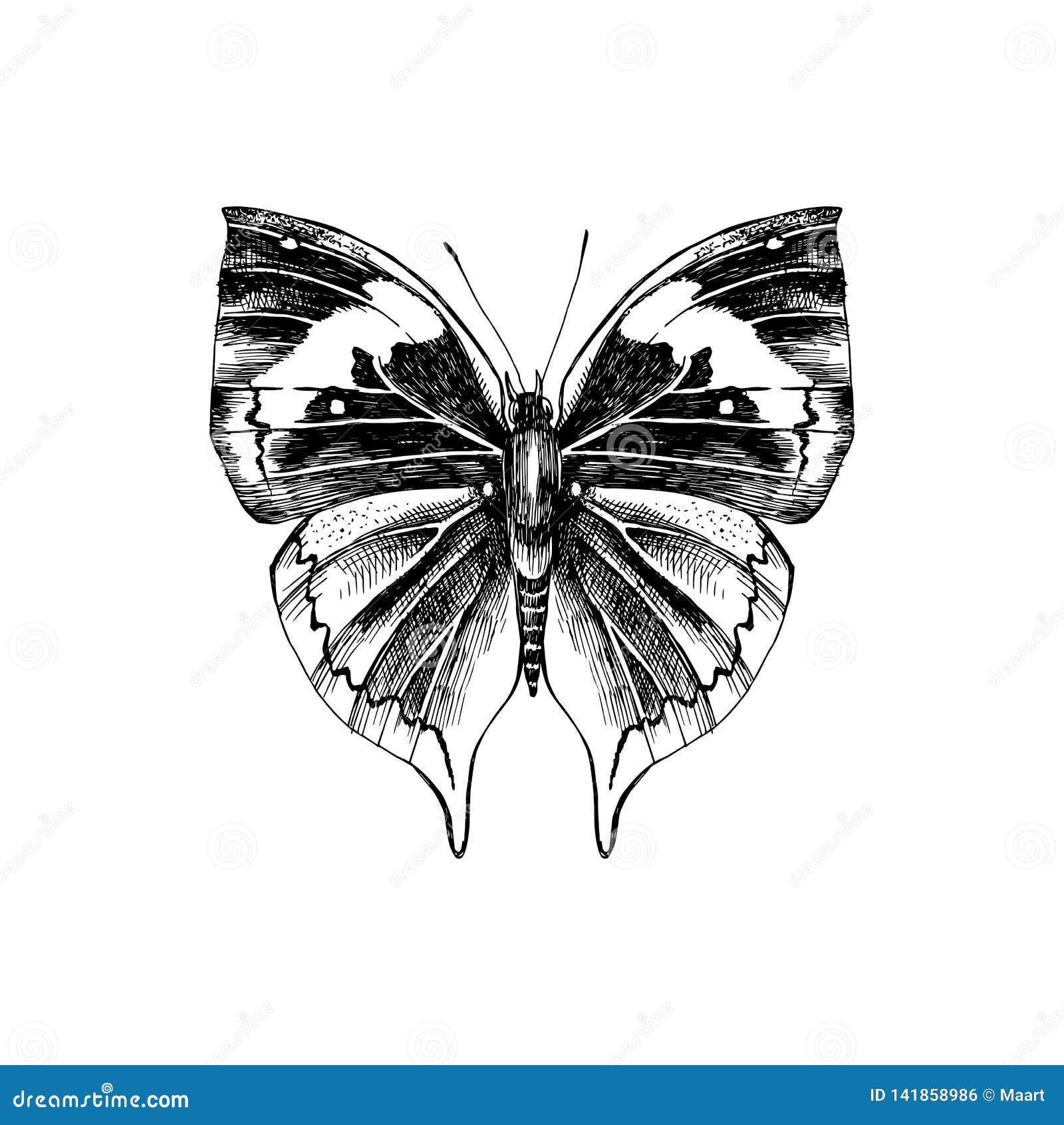 Dead Leaf Illustration Frame Background | CartoonDealer.com #228445158