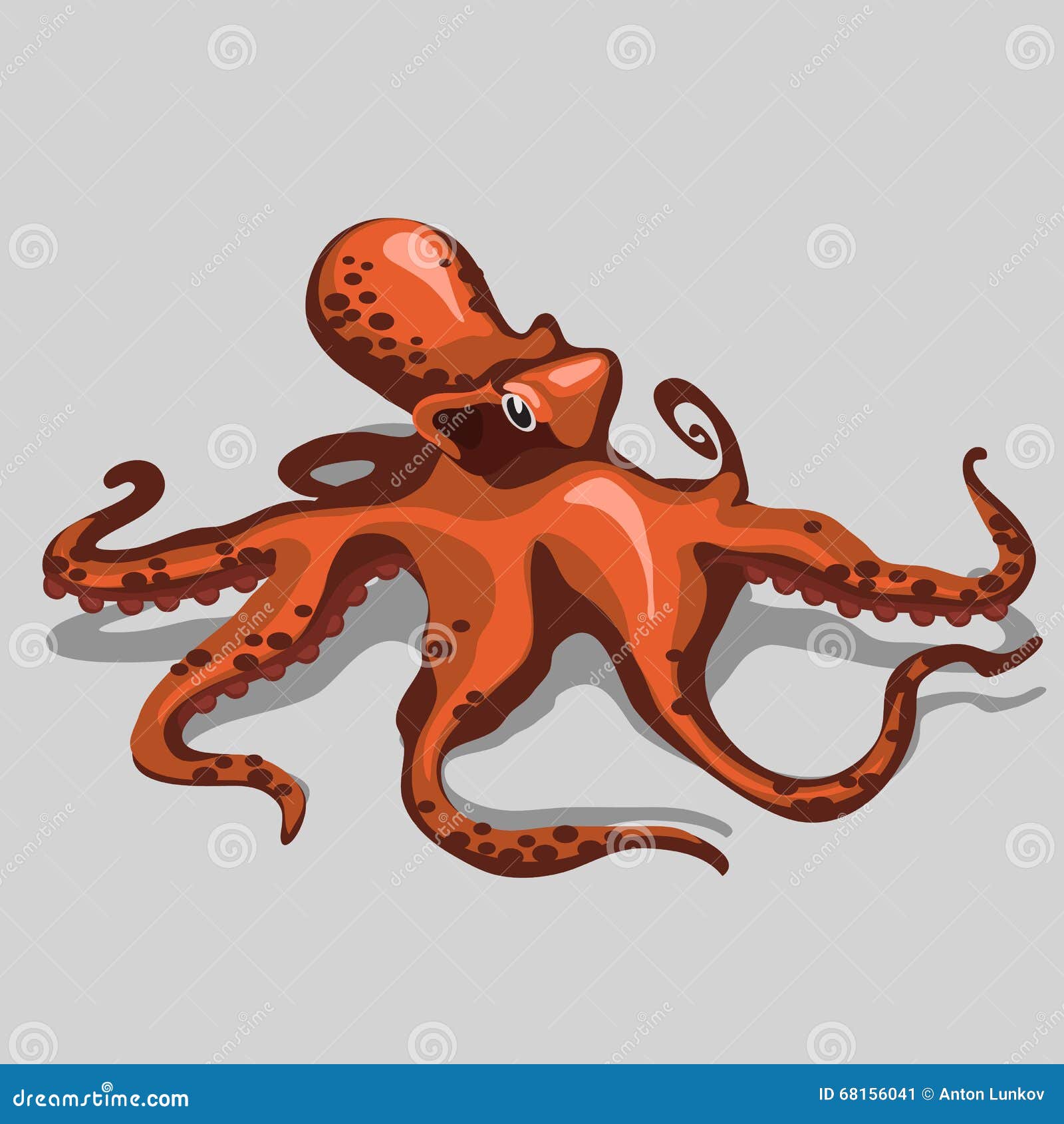 Orange Octopus Closeup, Isolated Vector Stock Vector - Illustration of ...