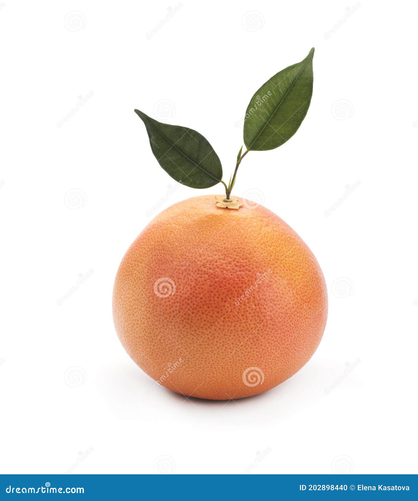 Orange. One Orange Fruit with Green Leaves Isolated on White Stock ...