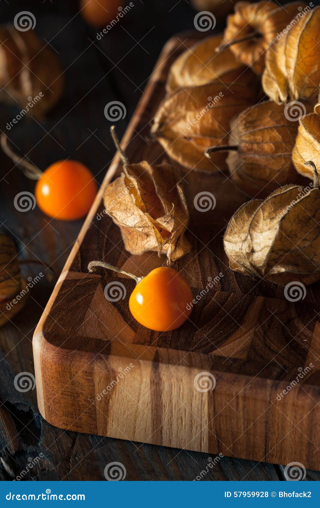 Orange Organic Cape Gooseberries Stock Photo - Image of fruit, cape ...