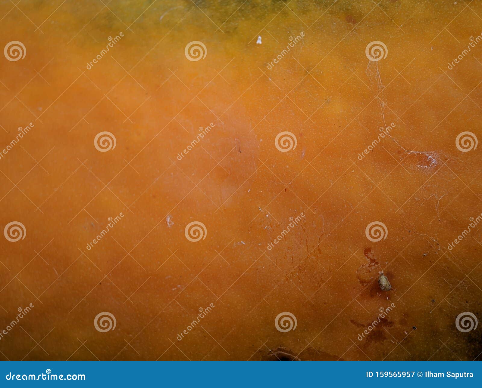 Orange Papaya Surface Texture Background Stock Image - Image of natural ...