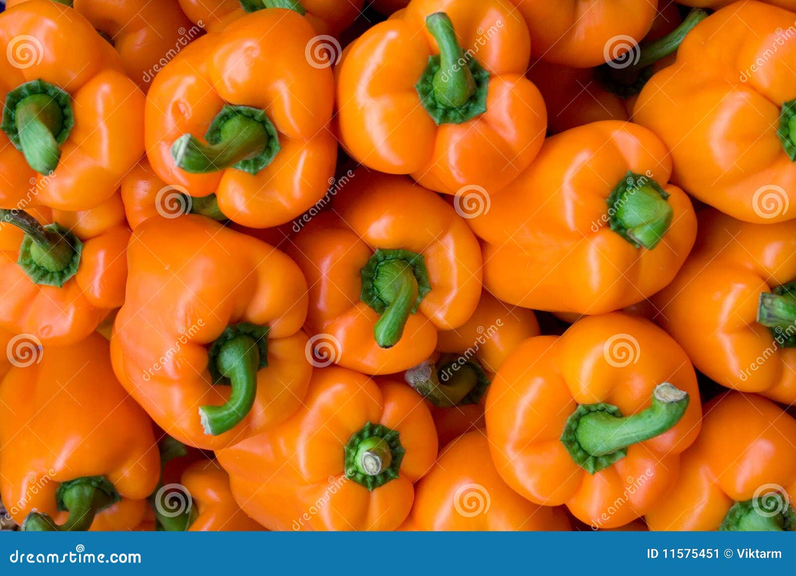 Orange paprika background stock image. Image of farm - 11575451