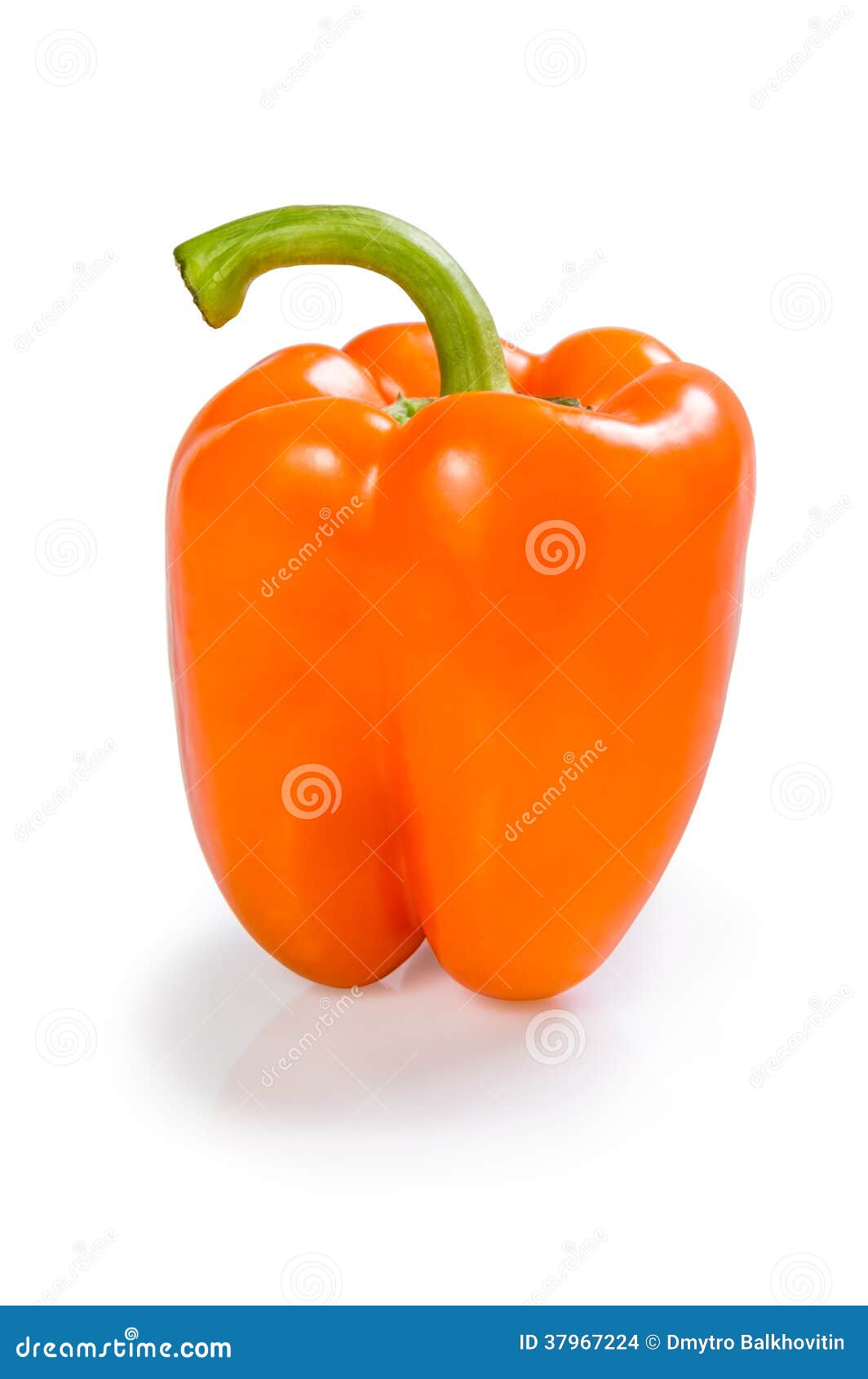 Orange paprika isolated stock photo. Image of orange - 37967224