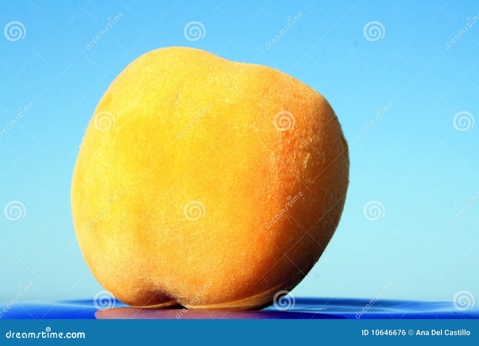 Orange peach stock photo. Image of healthy, watering - 10646676