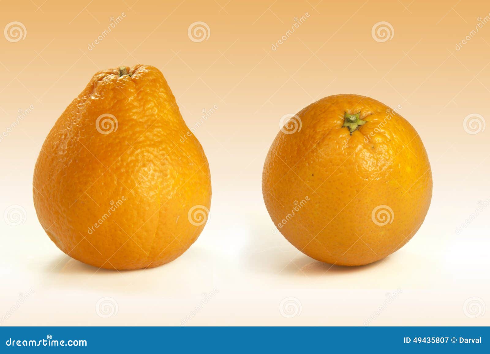 Orange pear stock image. Image of diversity, agriculture - 49435807