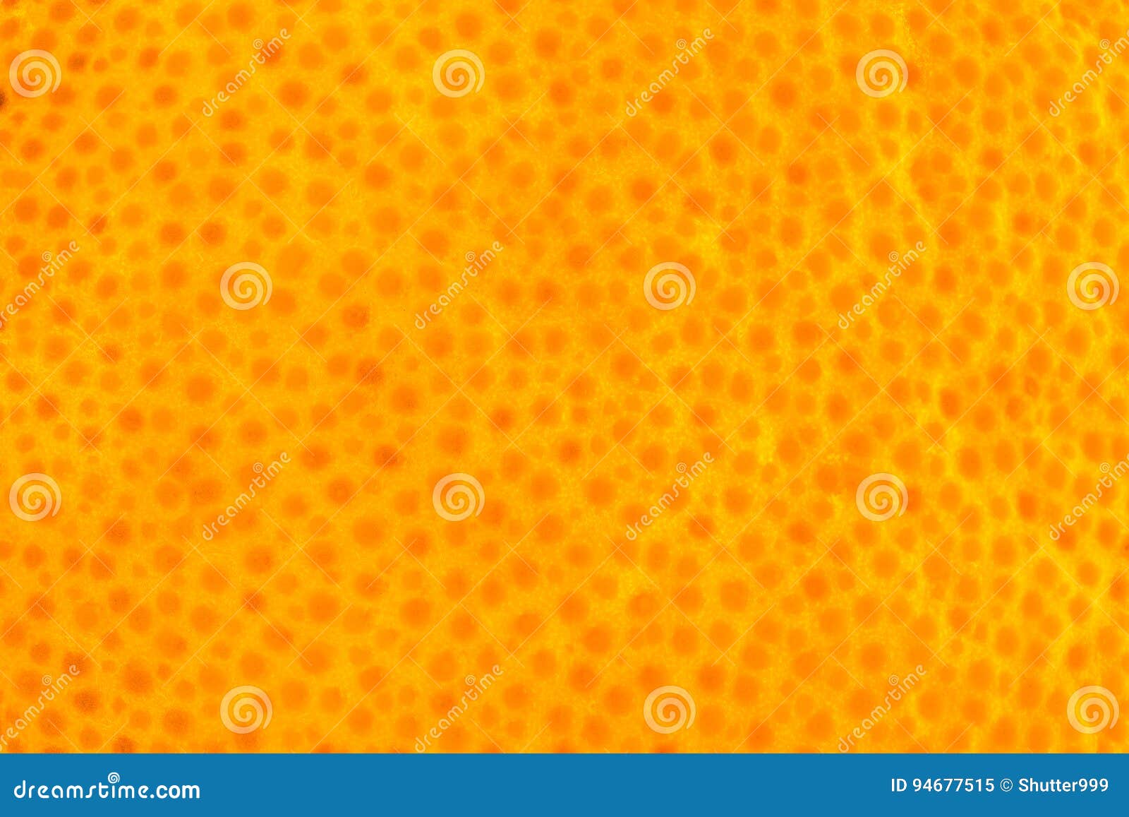 Orange peel background stock image. Image of peel, vitamin - 94677515