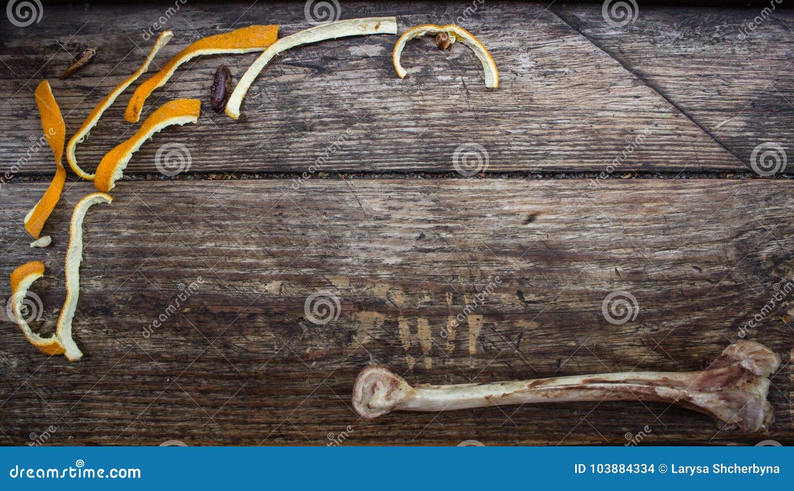 A Gnawed Chicken Bone on a Wooden Board Stock Photo - Image of gnawed ...