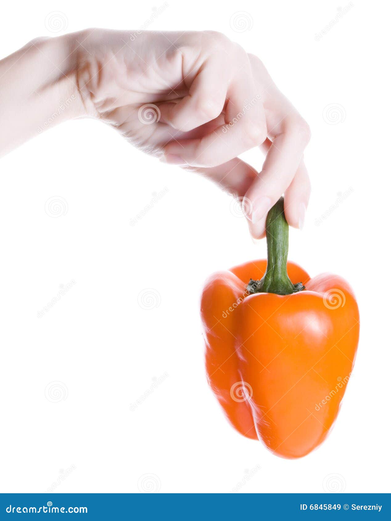 Orange pepper in hand stock image. Image of mirror, autumn - 6845849