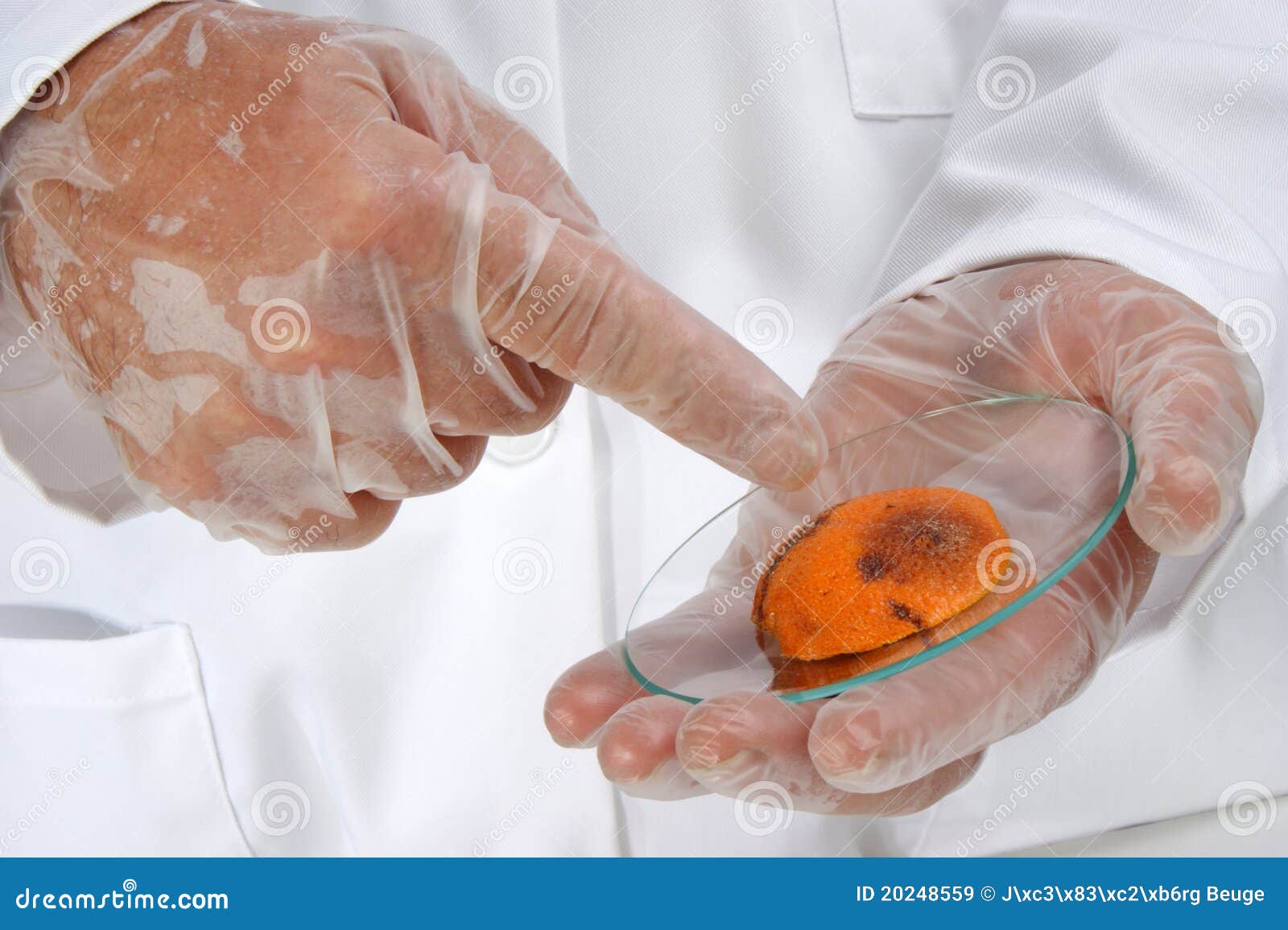 8,748 Orange Laboratory Stock Photos - Free & Royalty-Free Stock Photos ...