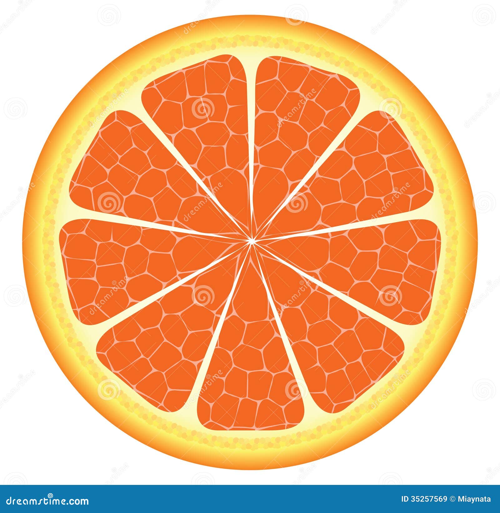 Orange piece or slice stock vector. Illustration of bright - 35257569