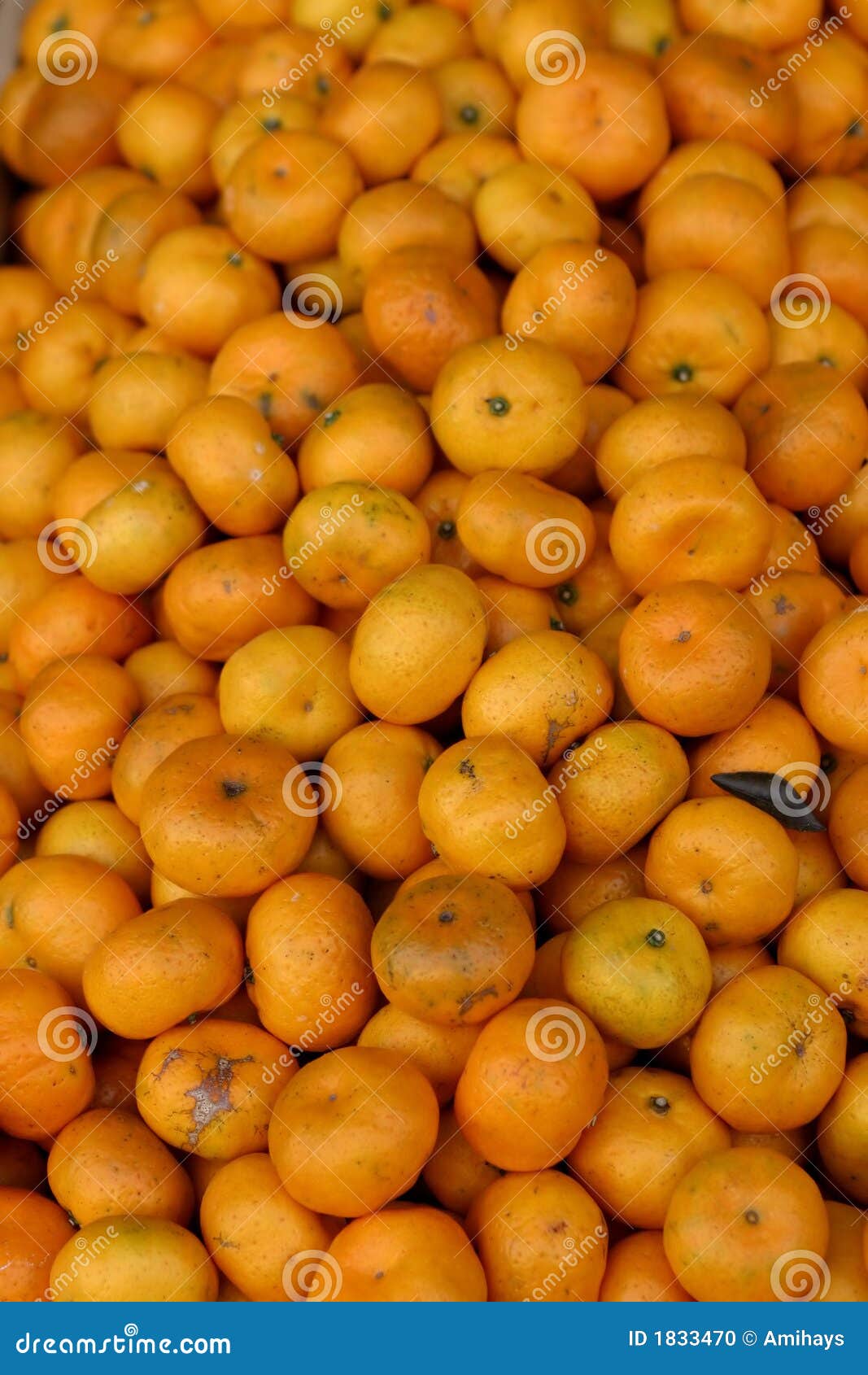 Orange pile stock photo. Image of citrus, fruits, market - 1833470