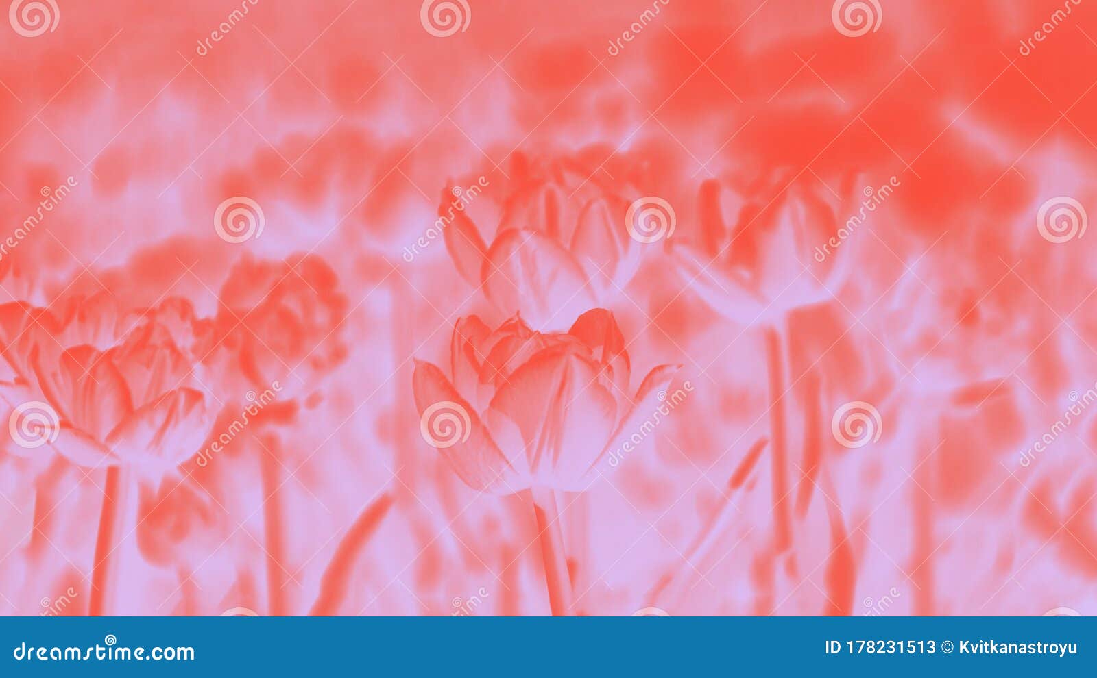 Orange and Pink Abstract Floral Background. Flowers Pattern. 16:9 ... Orange and Pink Abstract Floral Background. Flowers Pattern. 16:9 ...
