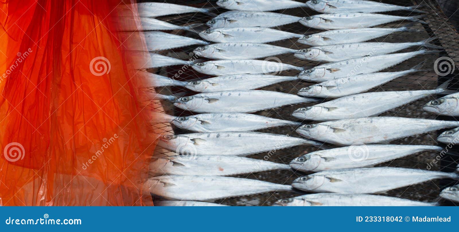 Orange Plastic and Fish in Garbage Marine Environment Pollution Concept ...