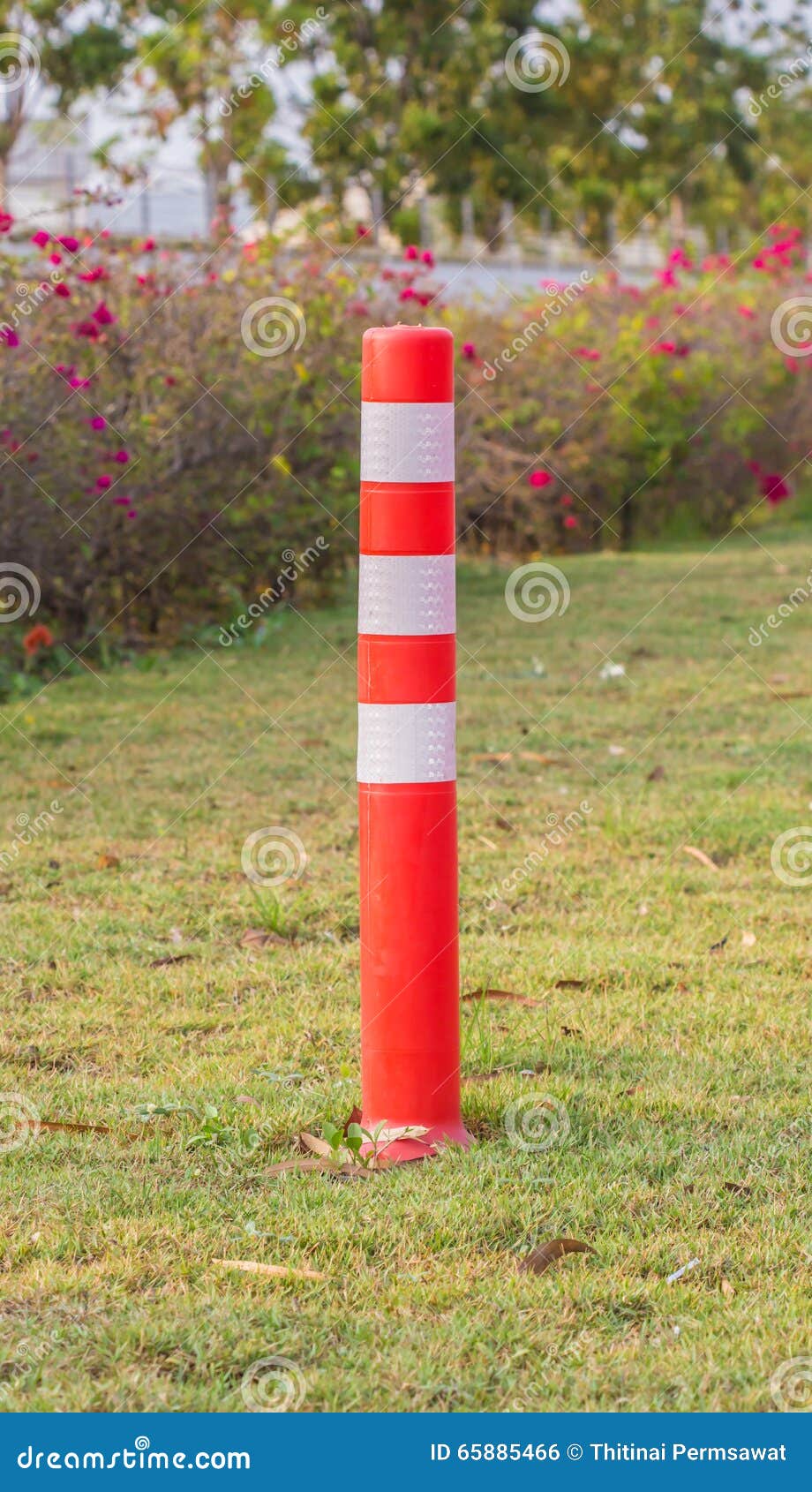 Orange Plastic Pole Traffic Stock Photo - Image of create, park: 65885466
