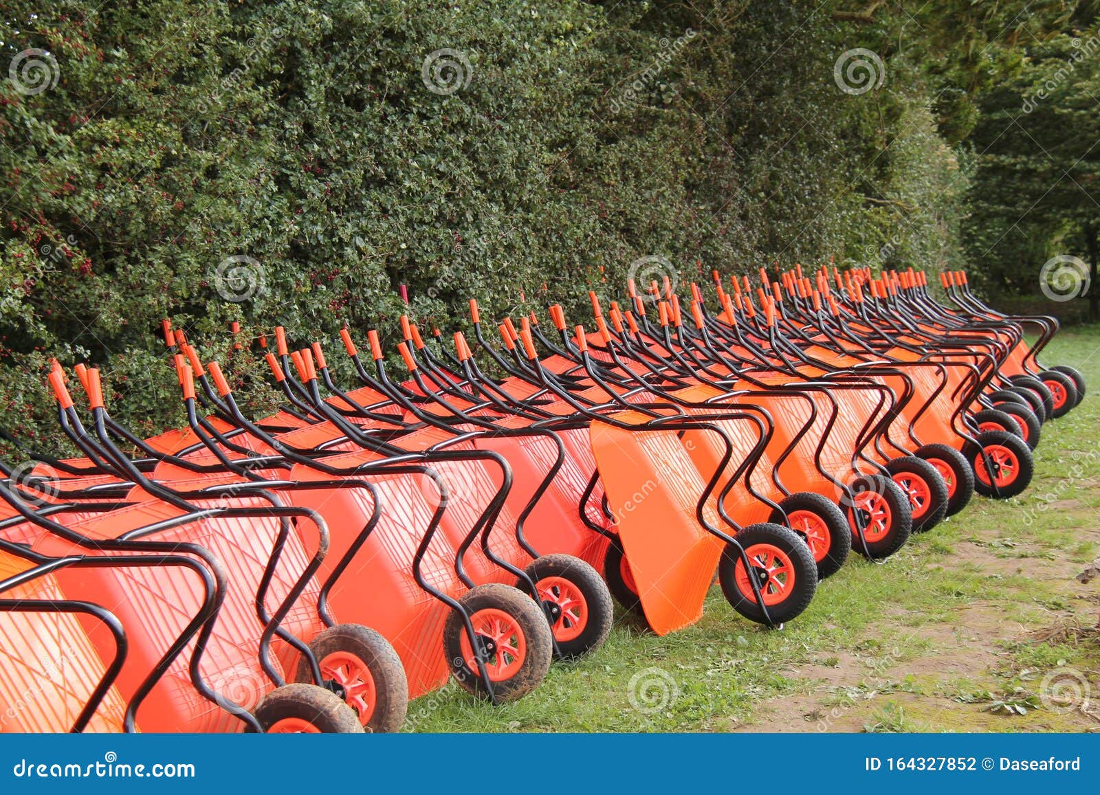 Orange Plastic Wheelbarrows. Stock Photo - Image of container, carry ...