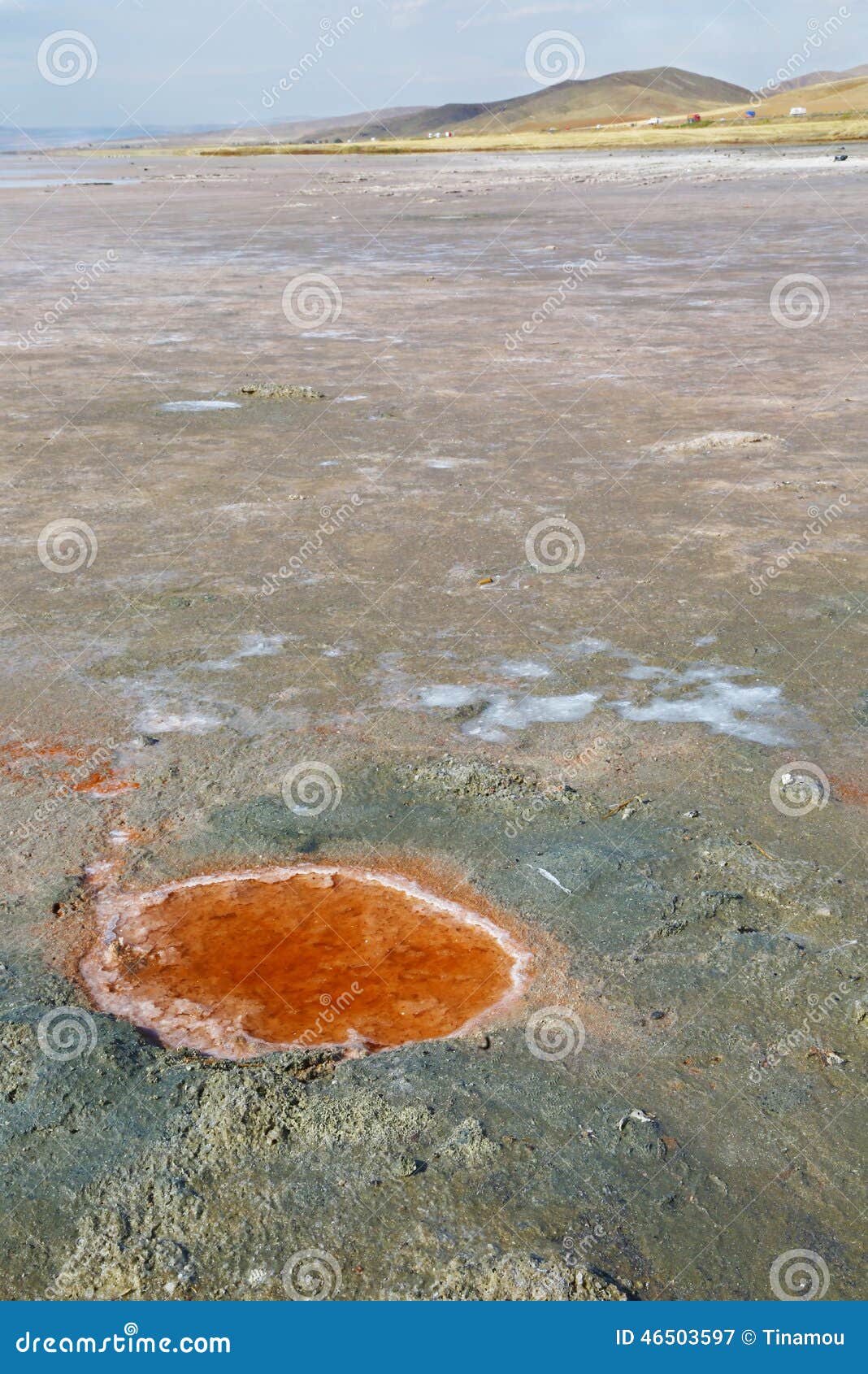 Salt Lake Turkey Stock Photos - Download 979 Royalty Free Photos