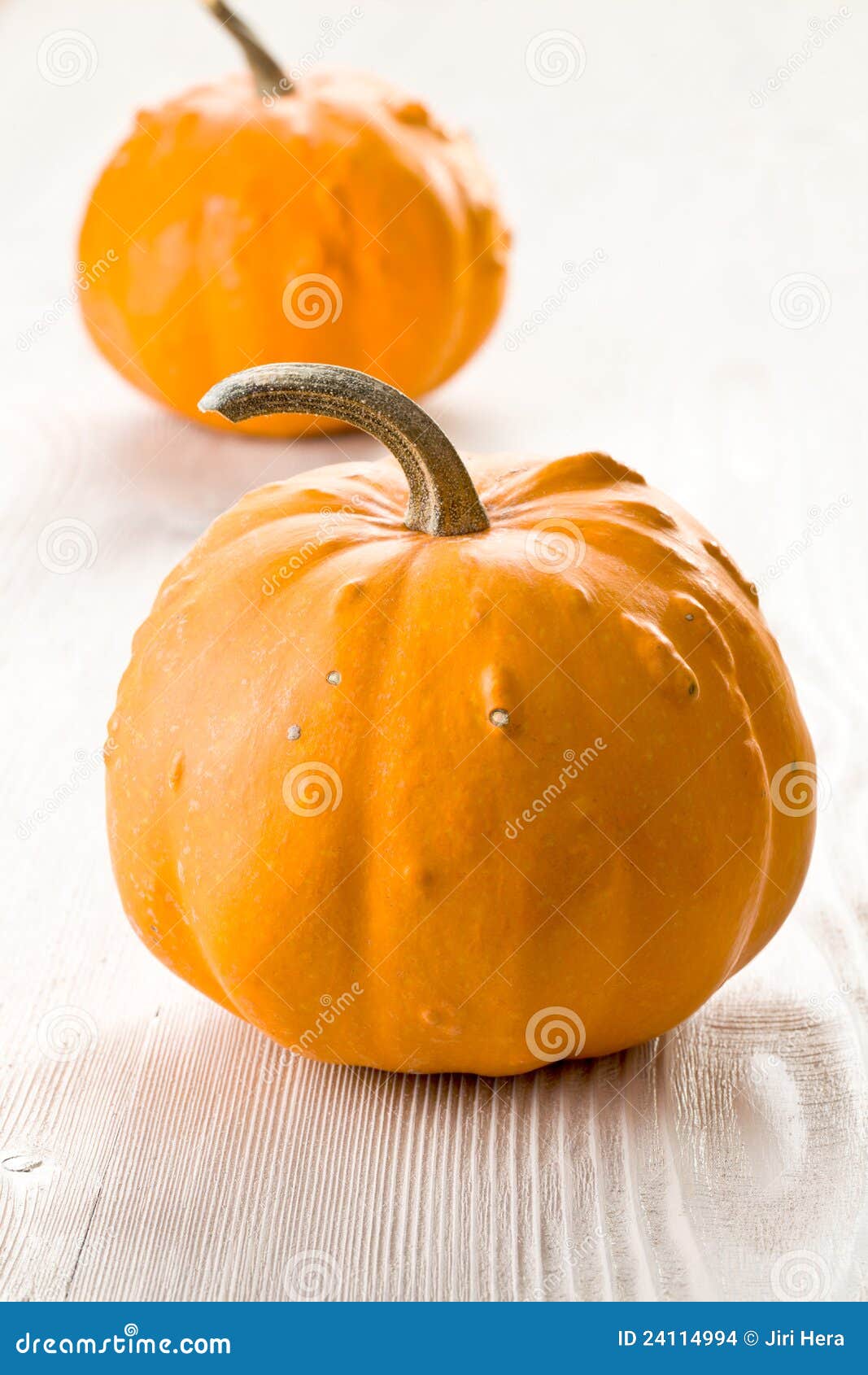 Orange pumkins stock photo. Image of produce, ornamental - 24114994