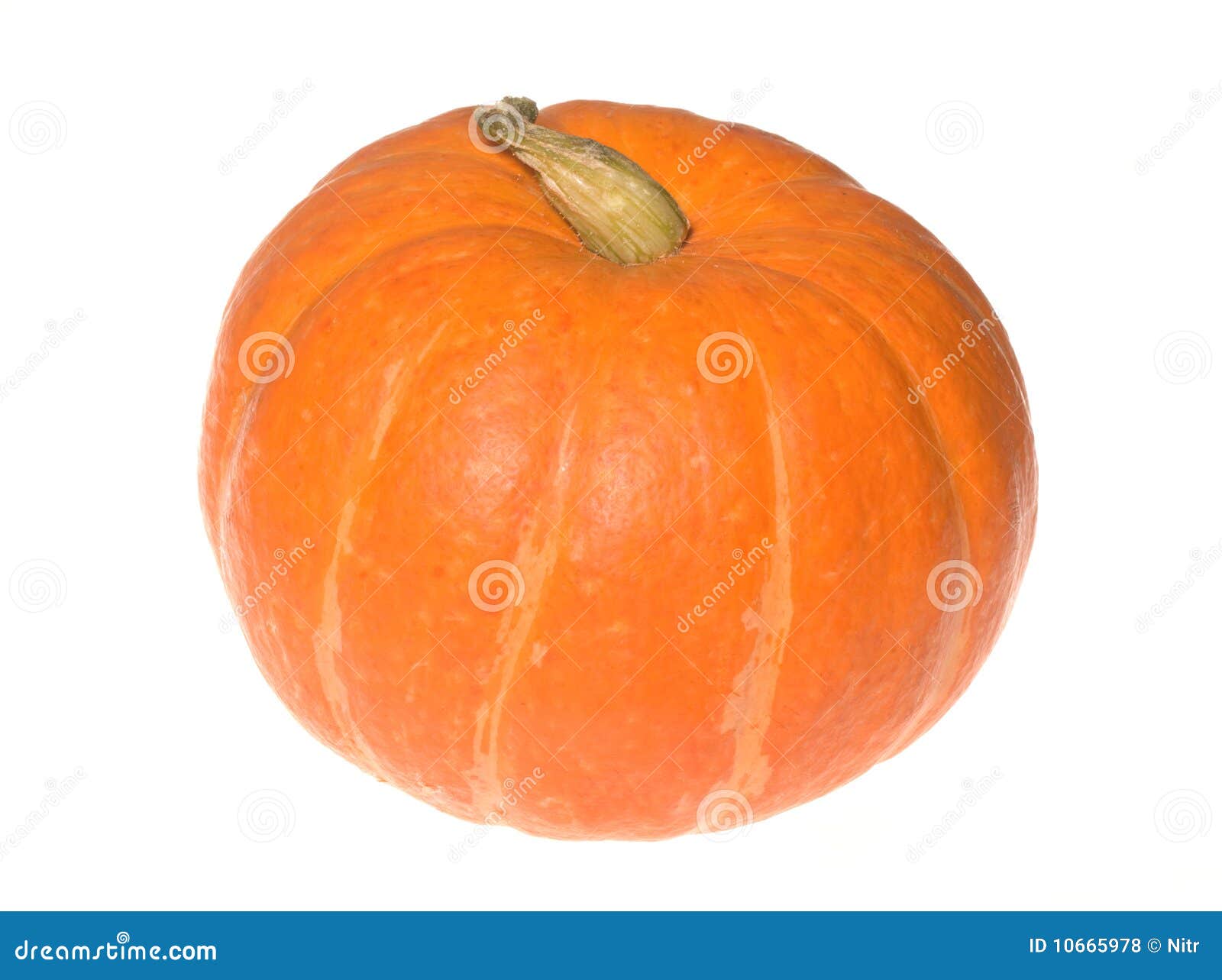 Orange pumpkin stock photo. Image of pumpkin, vegetable - 10665978