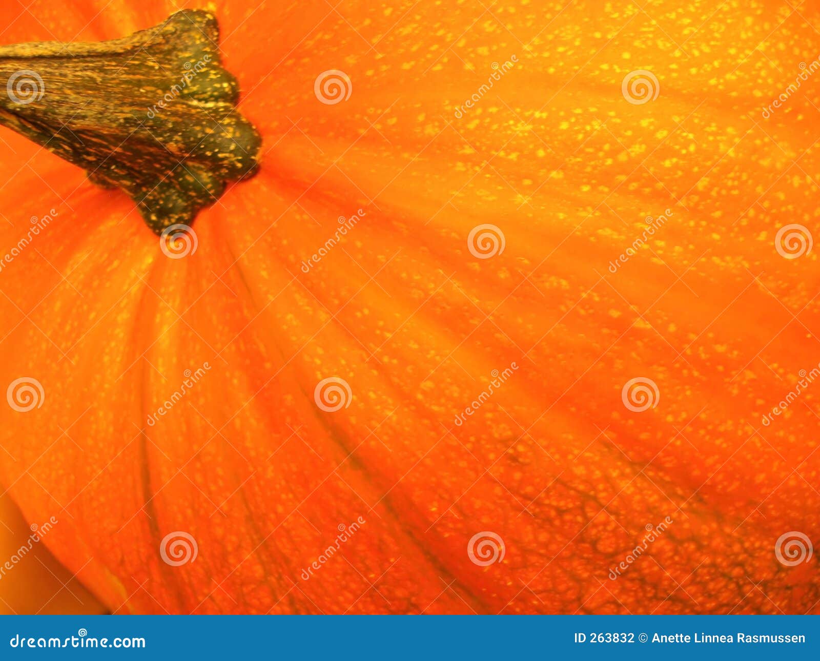 Orange Pumpkin Skin Texture Background Stock Photography ...