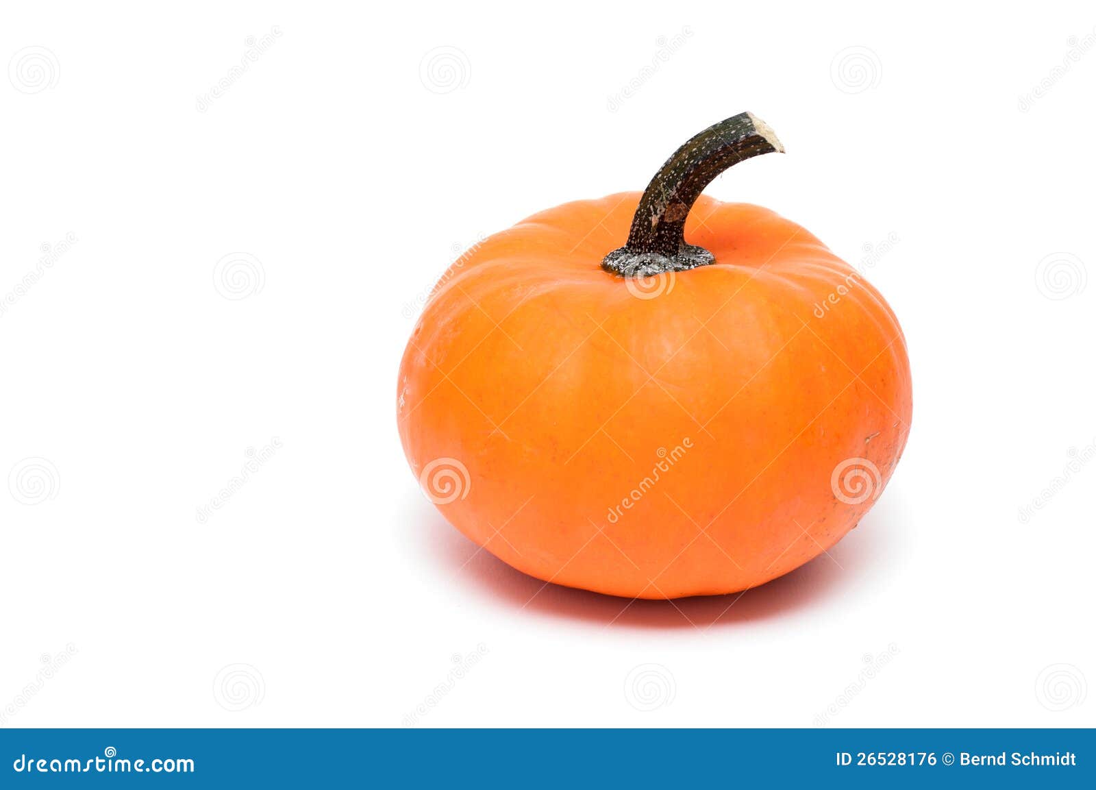 Orange pumpkin stock photo. Image of cucurbit, decorative - 26528176