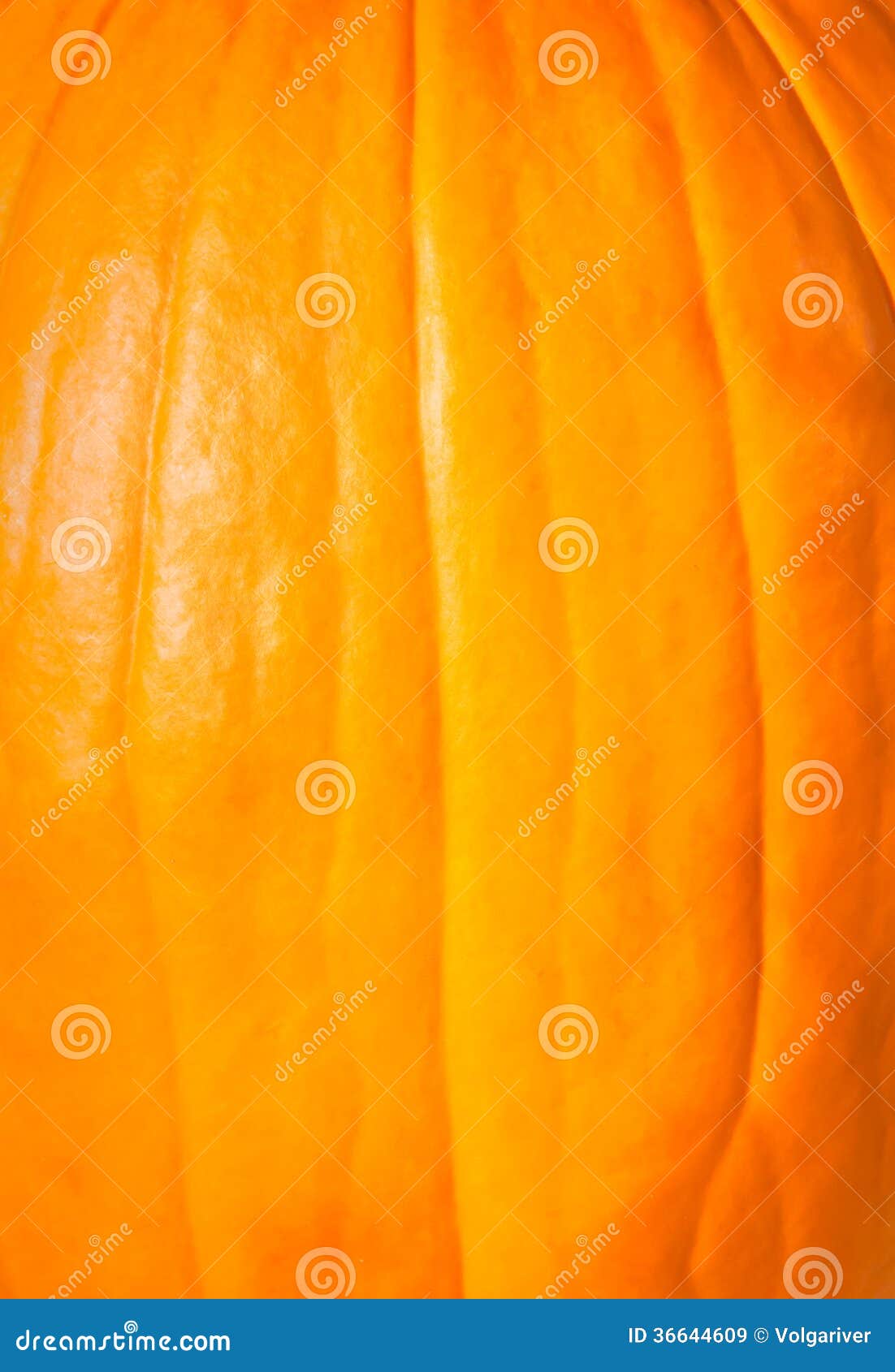 Orange pumpkin background stock image. Image of abstract - 36644609