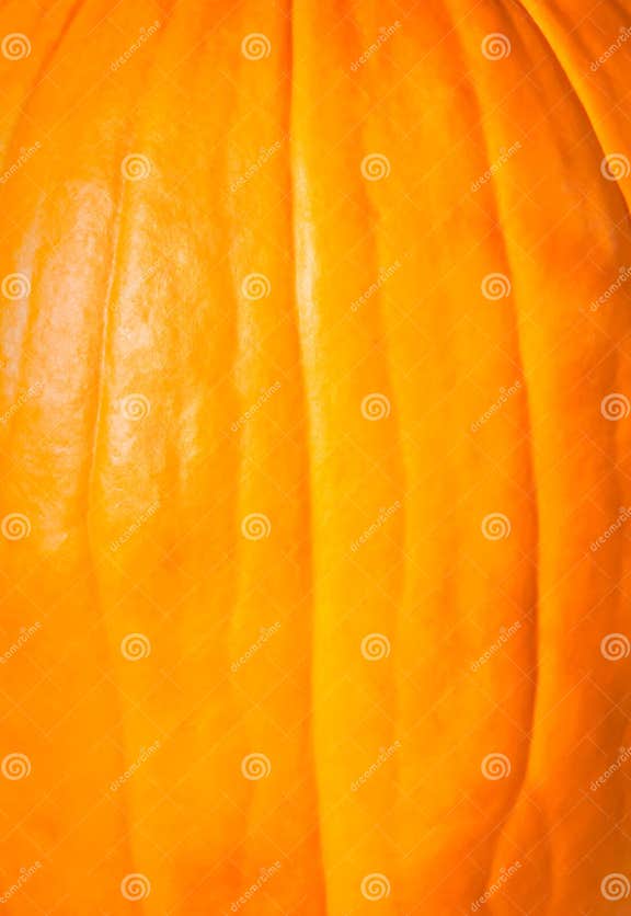 Orange pumpkin background stock image. Image of abstract - 36644609