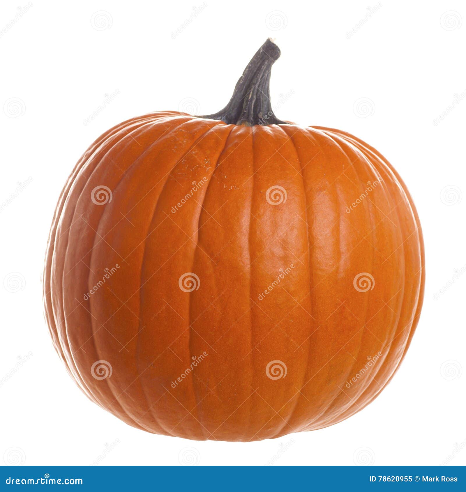 Orange Pumpkin Skin Texture Background Stock Photography ...