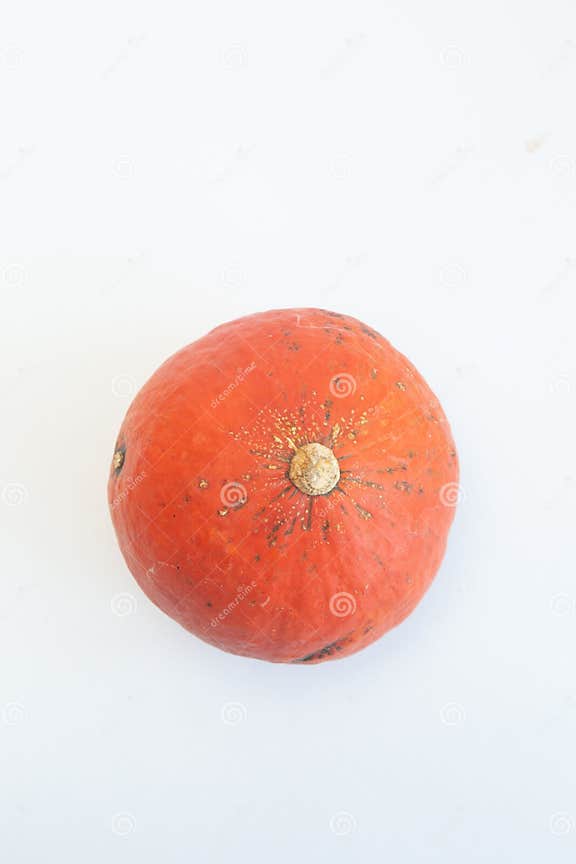 Orange Pumpkin with a Root White Background Stock Photo - Image of ...