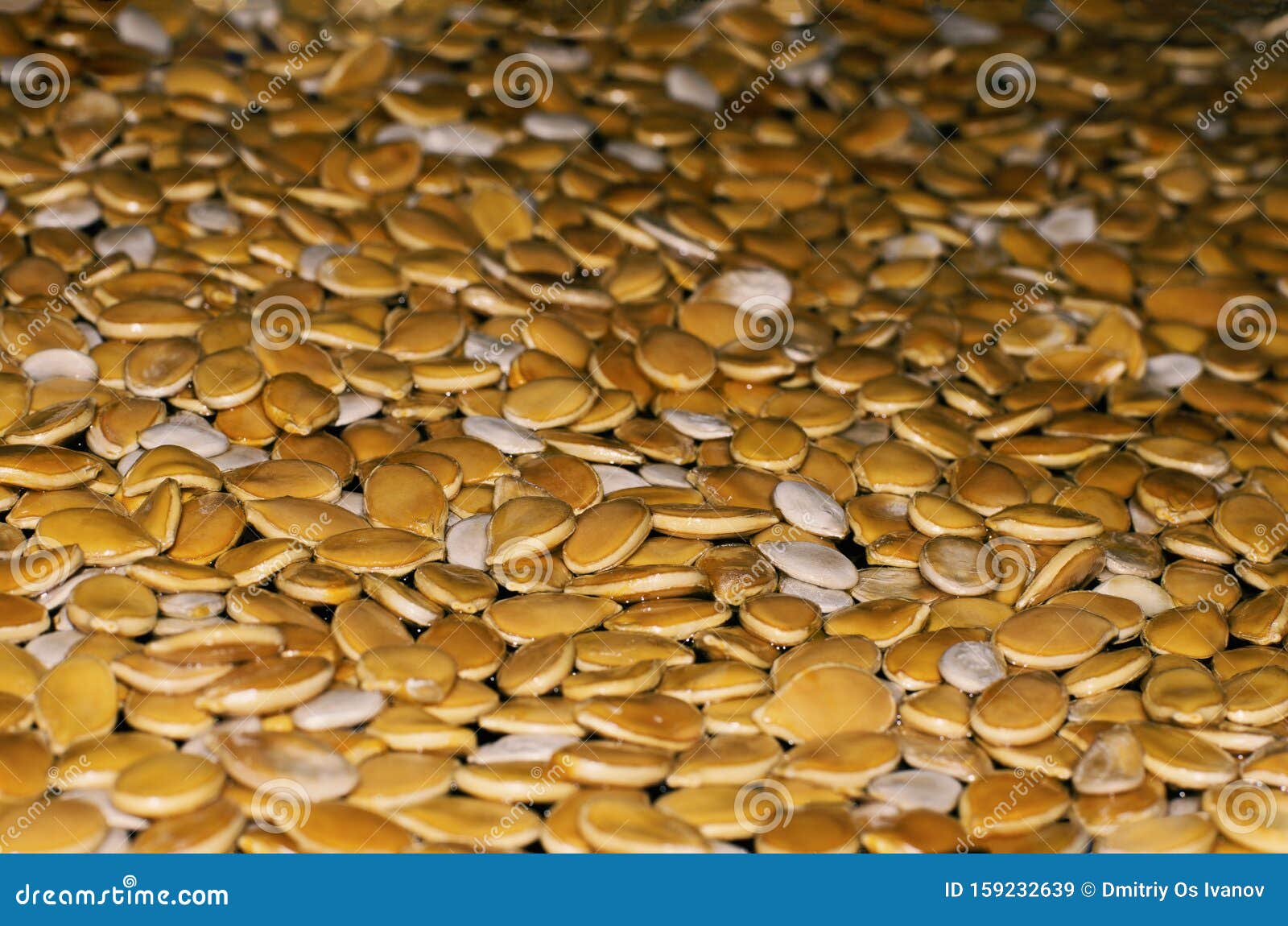 Orange Pumpkin Seeds Side View Stock Image - Image of background, ripe ...