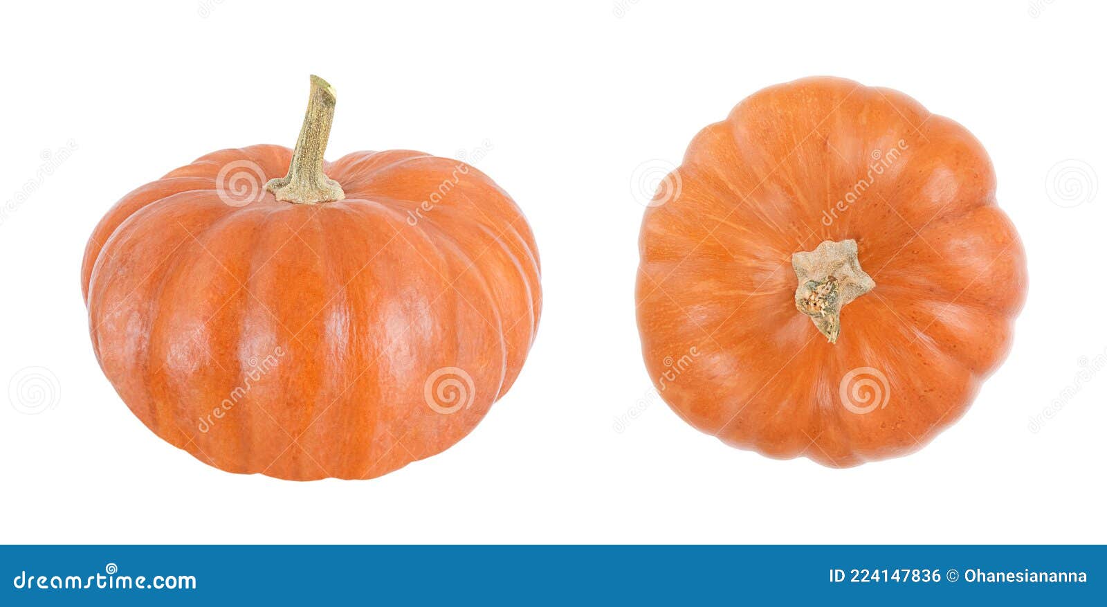 Orange Pumpkin with Side and Top View Isolated on a White Background ...
