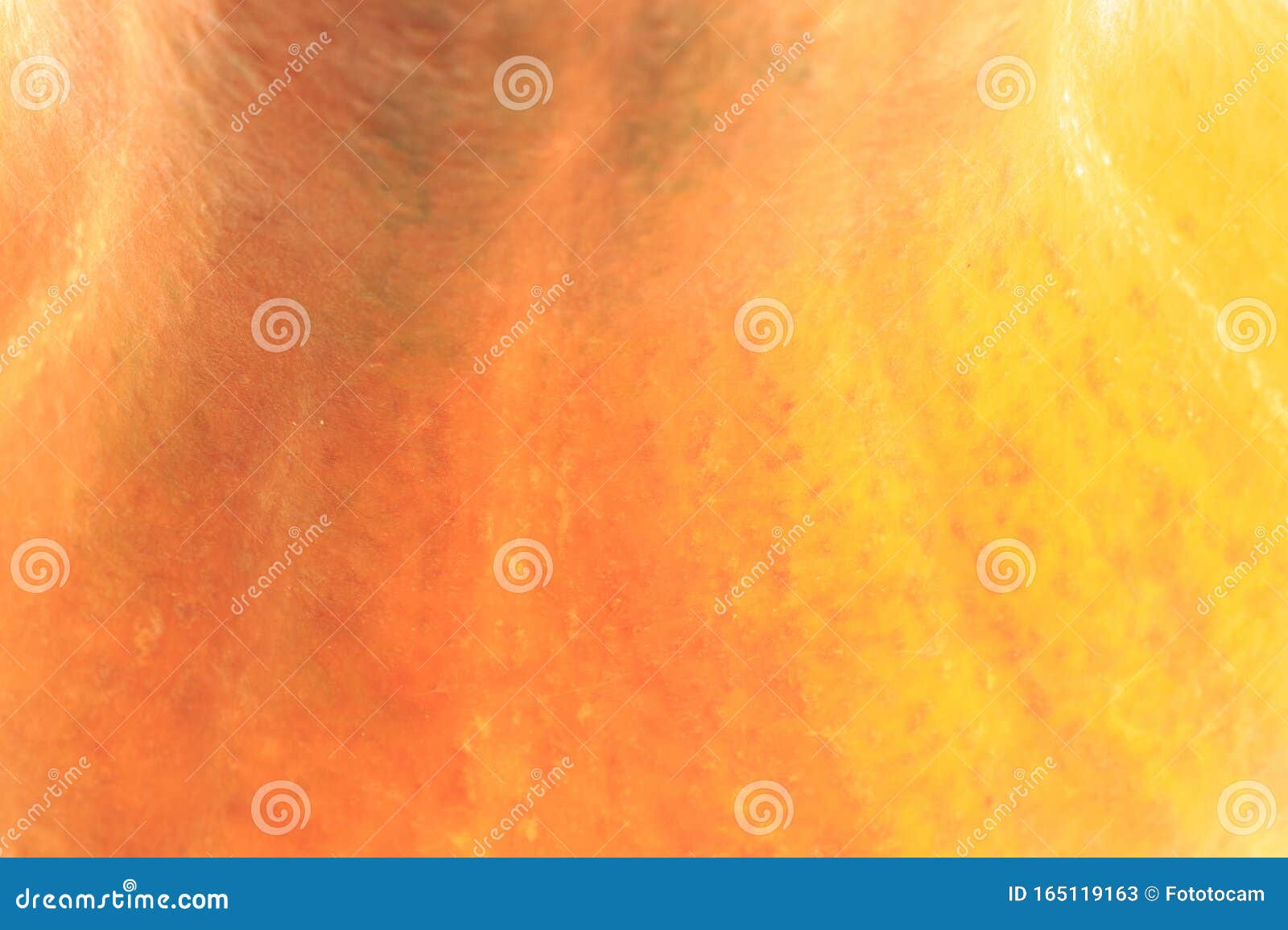 Orange Pumpkin Texture Background - Image Stock Image - Image of copy ...