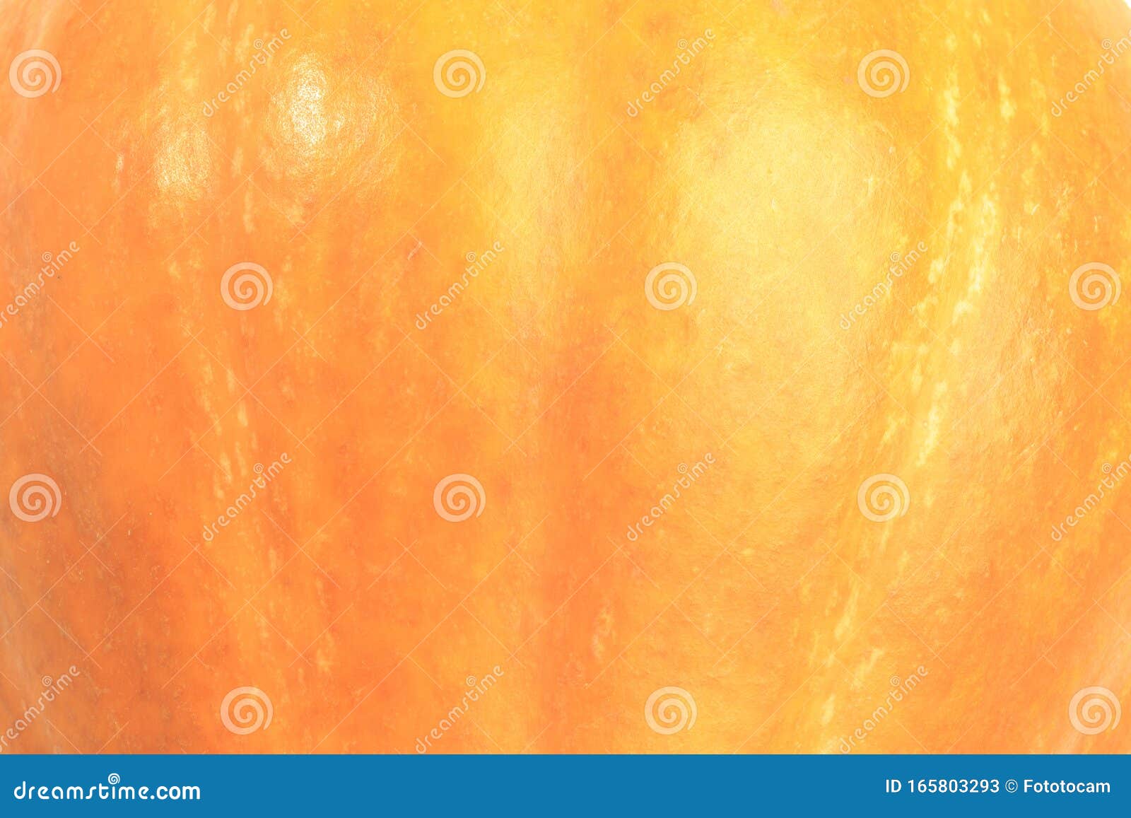 Orange Pumpkin Texture Background - Image Stock Image - Image of ...