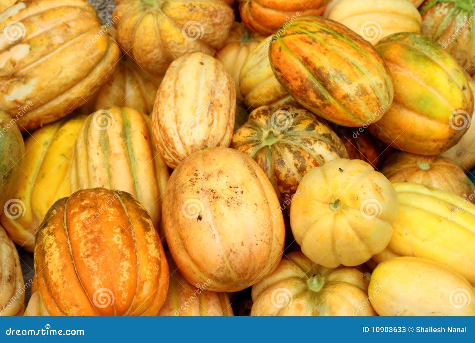 Orange pumpkins stock image. Image of sale, beauty, eatable - 10908633