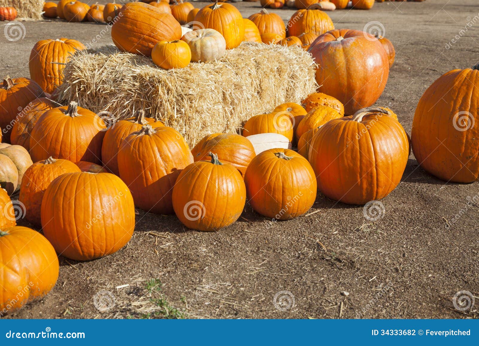 Orange Pumpkins and Hay in Rustic Fall Setting Stock Photo - Image of ...