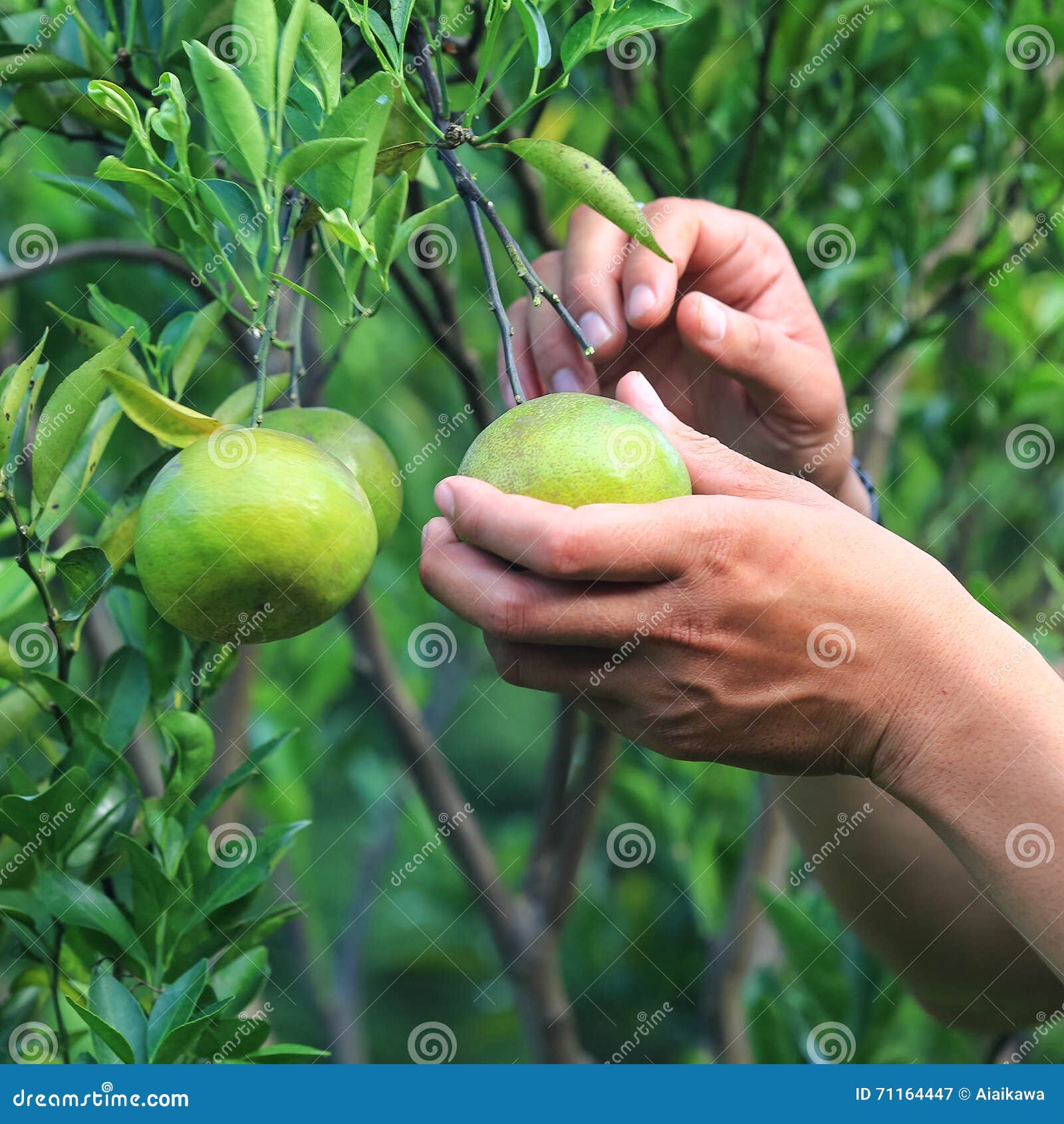 Old Manually Control Device For A Railway Switch Stock Photography ...