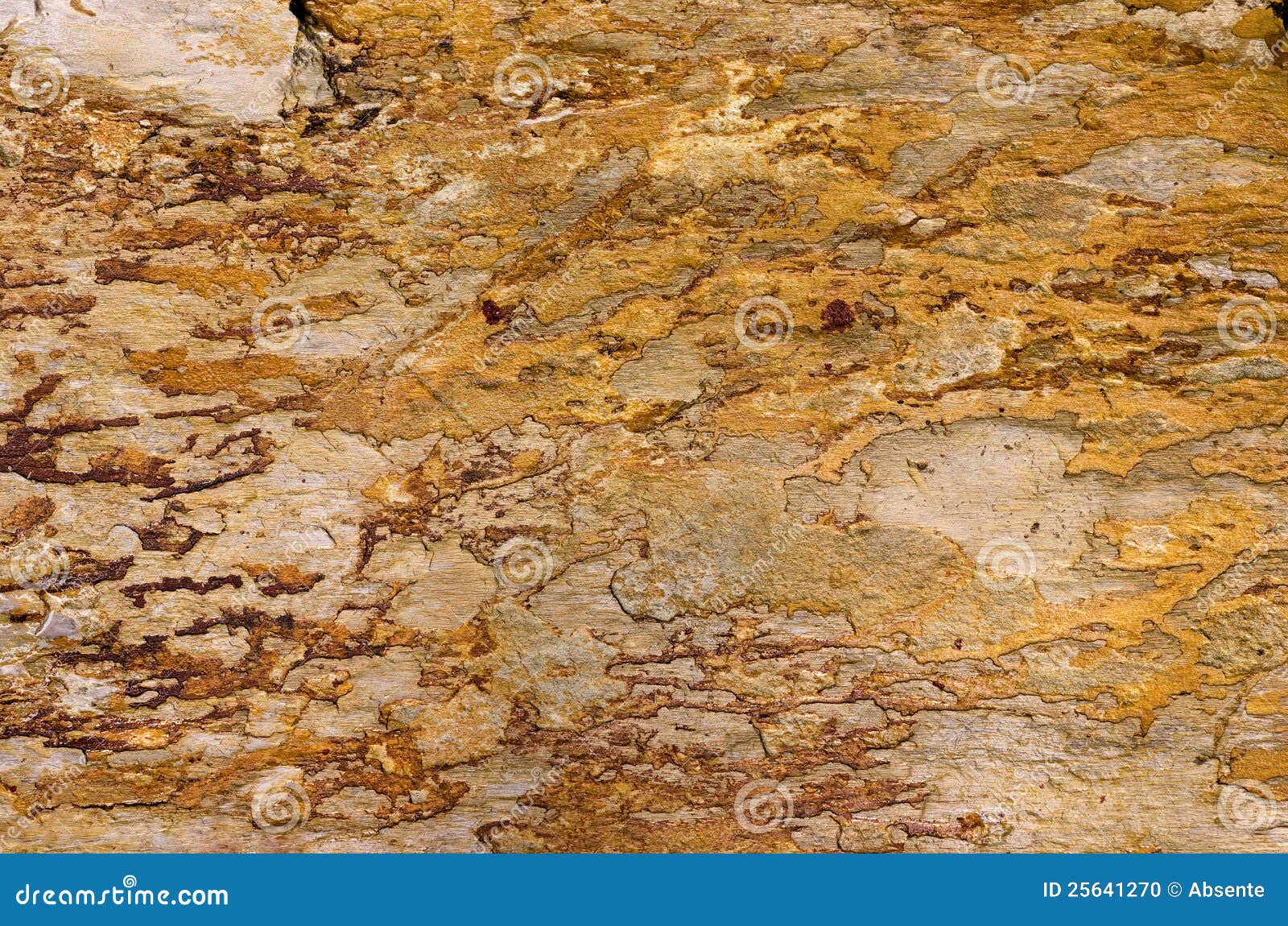 Orange Quartzite Rock stock photo. Image of pattern, background - 25641270