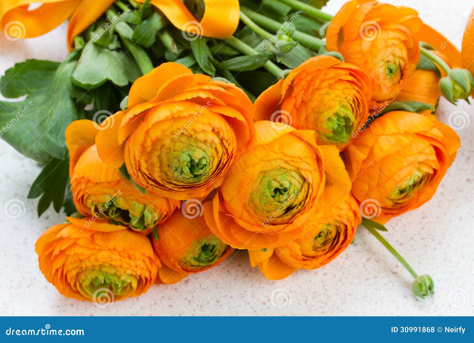 Orange ranunculus bouquet stock photo. Image of flowers - 30991868