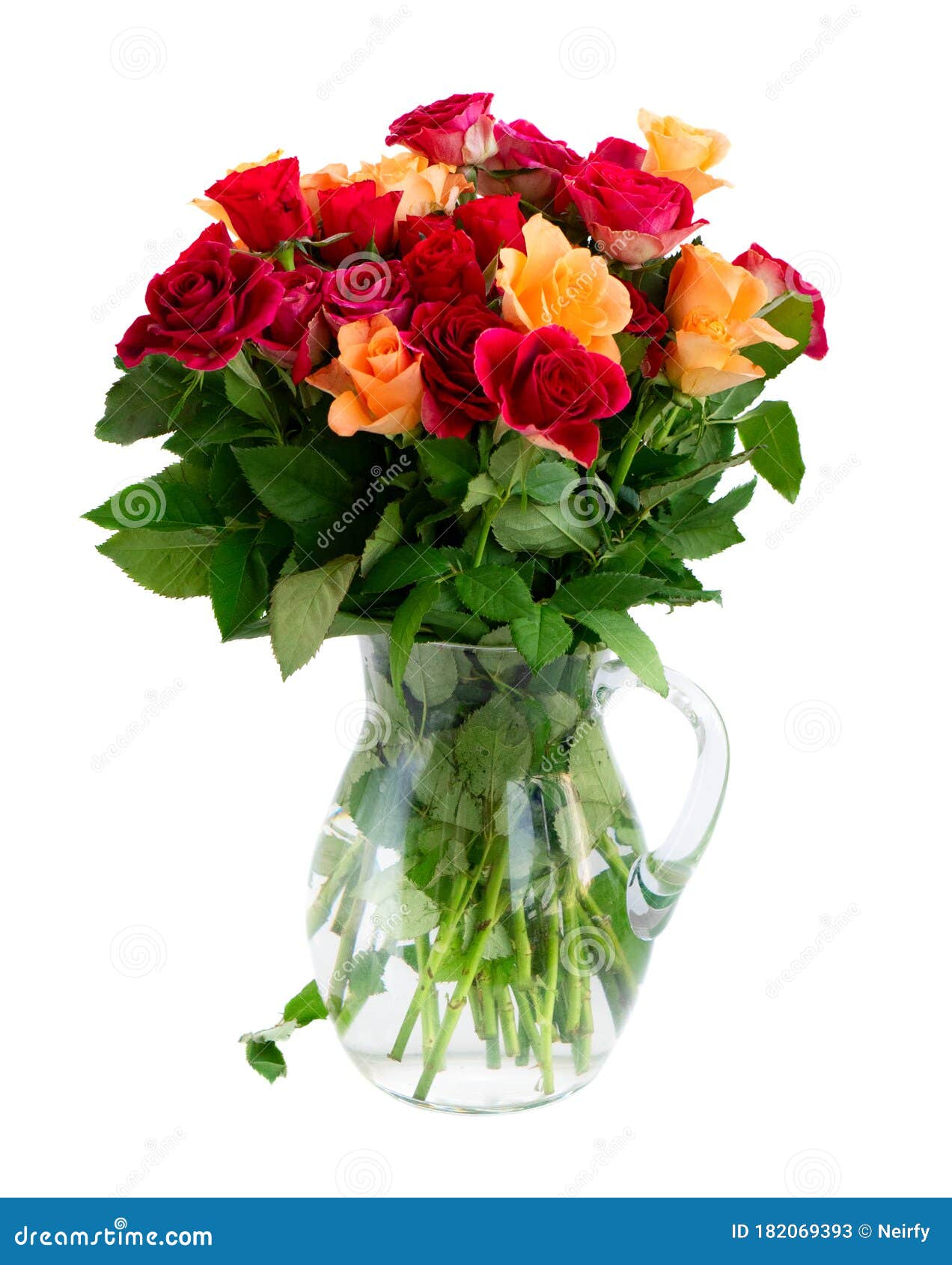 Orange and red roses stock image. Image of background - 182069393