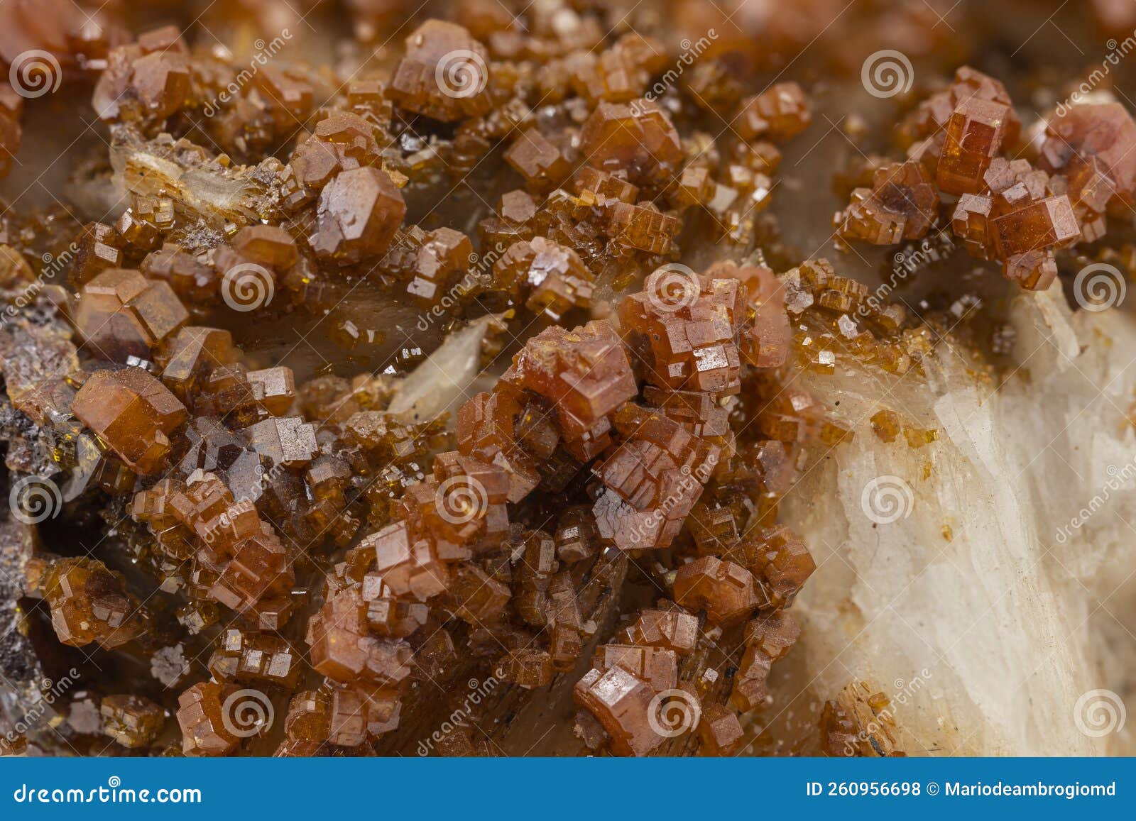 Orange-red Tabular Crystals of Vanadinite, Lead Ore Belonging To the ...