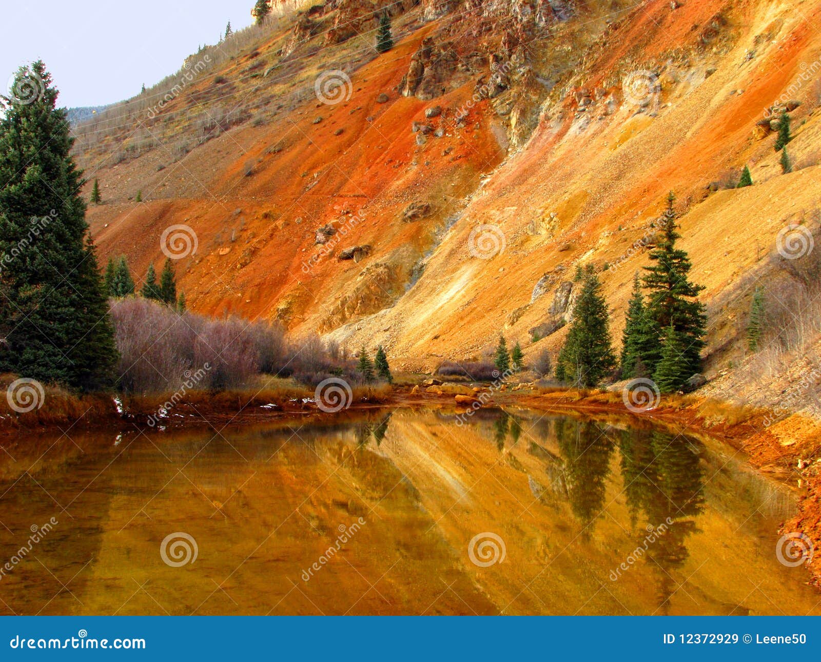 Orange Reflections stock image. Image of tree, avalanche - 12372929
