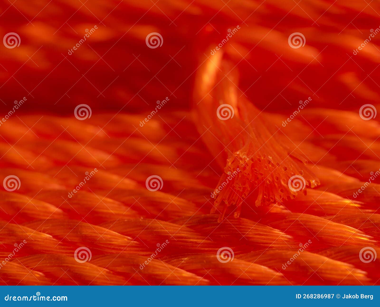 Orange Rope Close-up. Texture of Braided Rope Stock Image - Image of ...