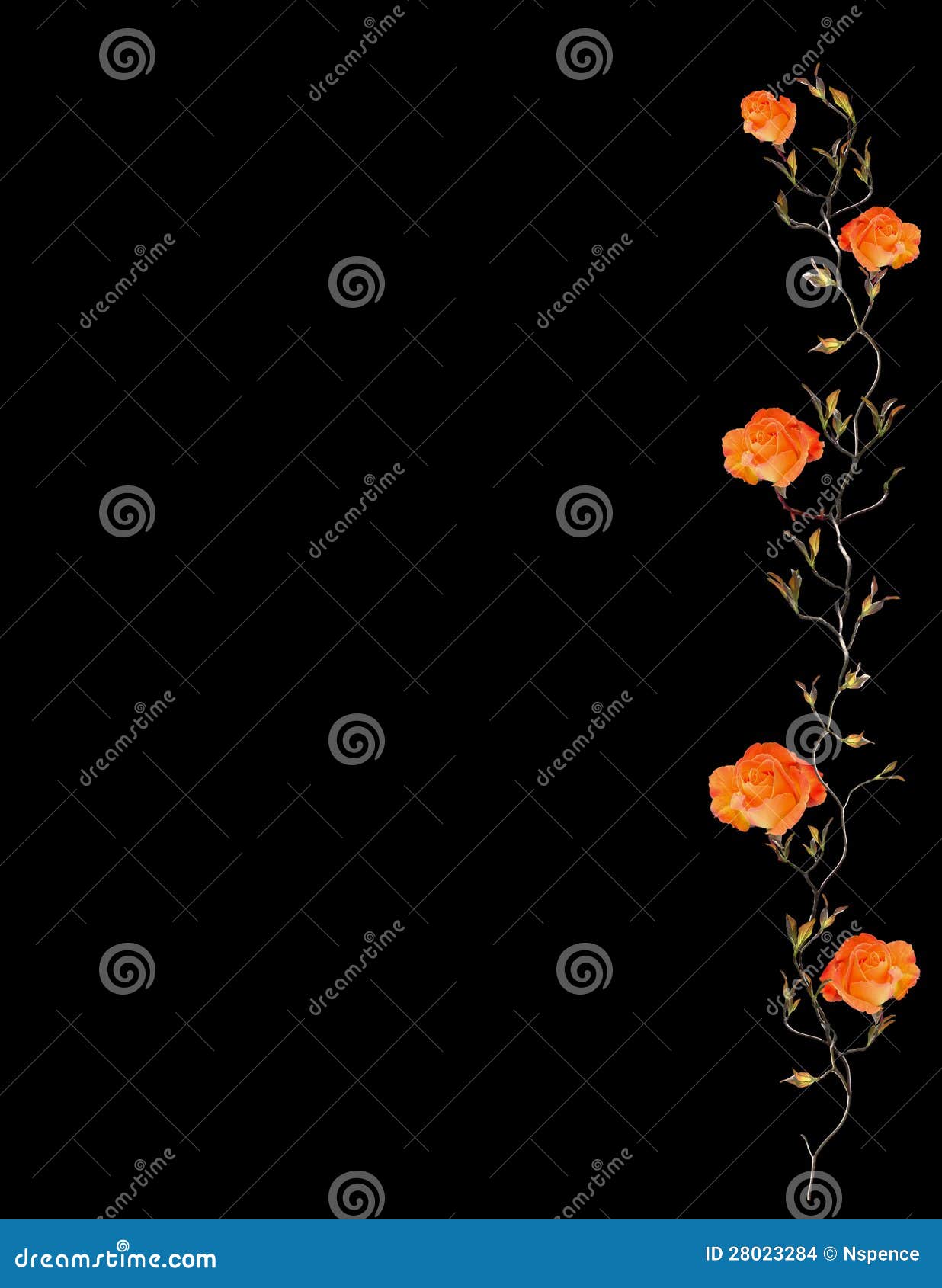 Orange Rose Border with Black Copy Space Stock Illustration ...