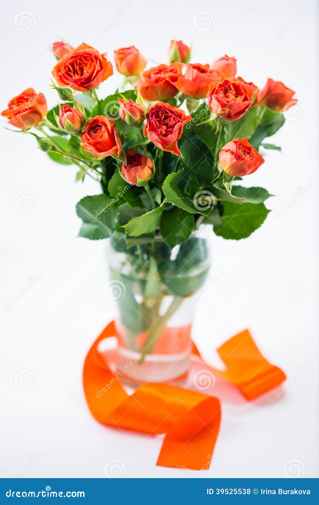 Orange Rosen im Vase stockfoto. Bild von nave, schönheit - 39525538