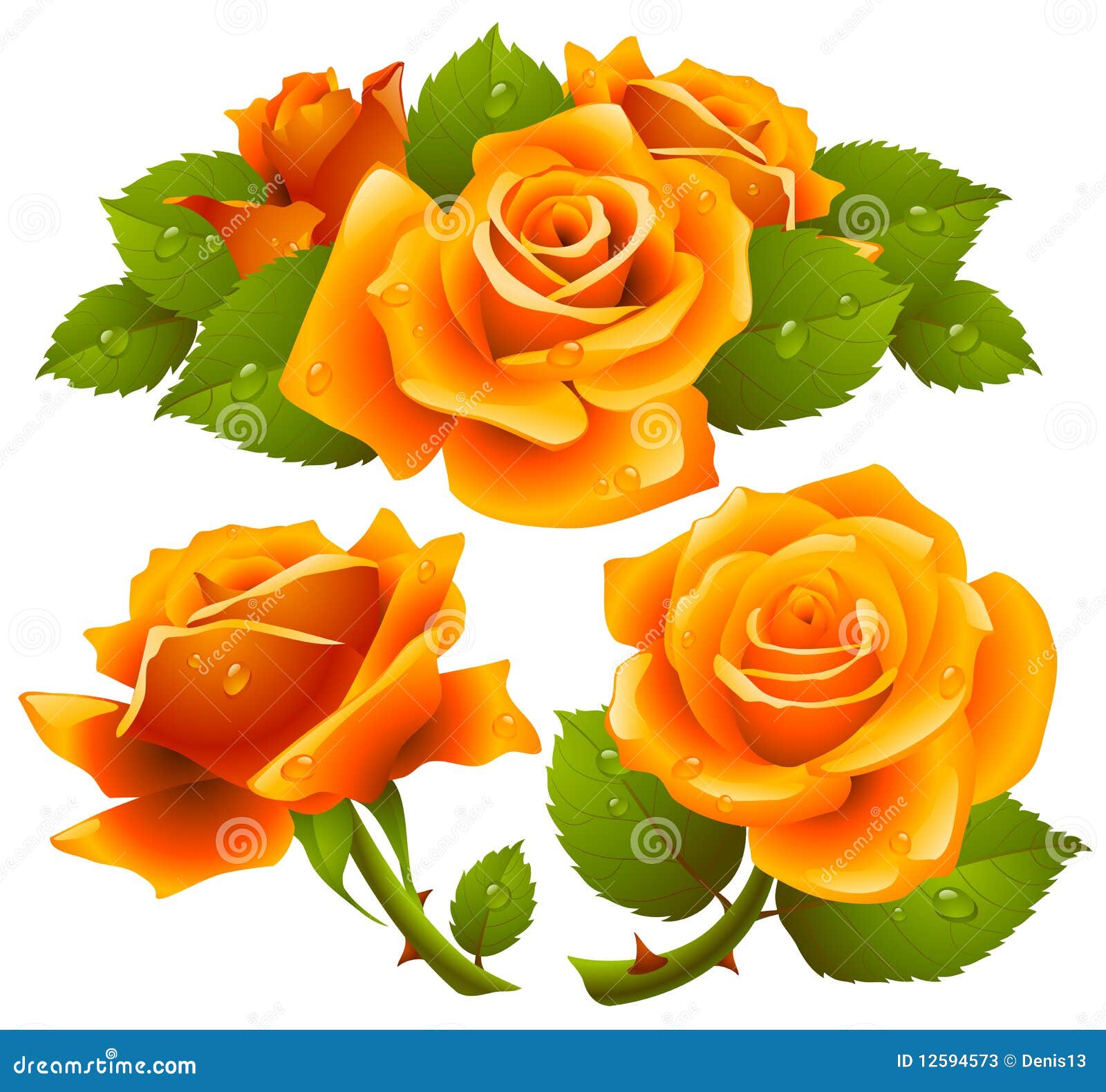 Orange roses set stock vector. Illustration of modern - 12594573